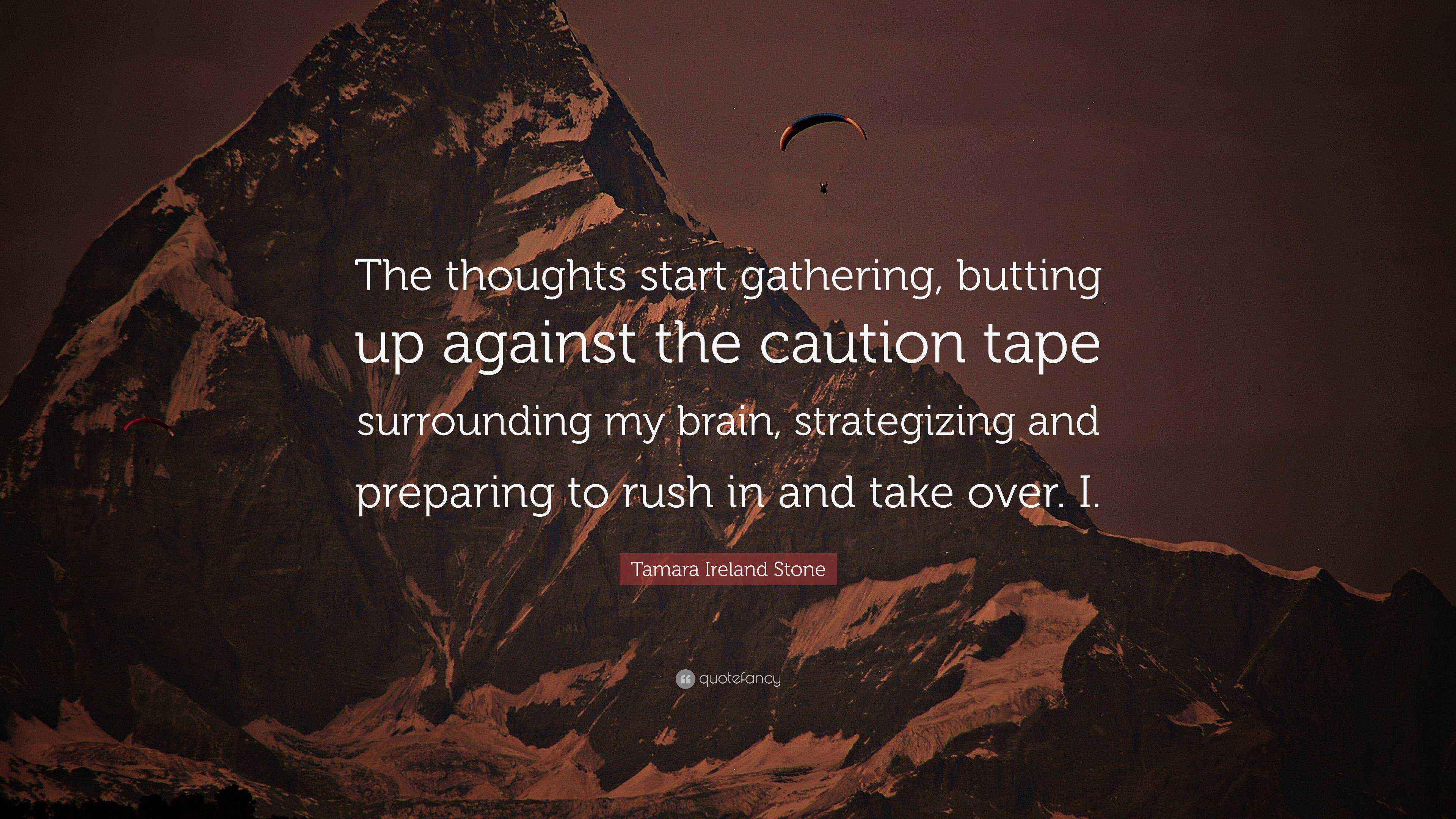 Tamara Ireland Stone Quote: “The thoughts start gathering, butting up ...