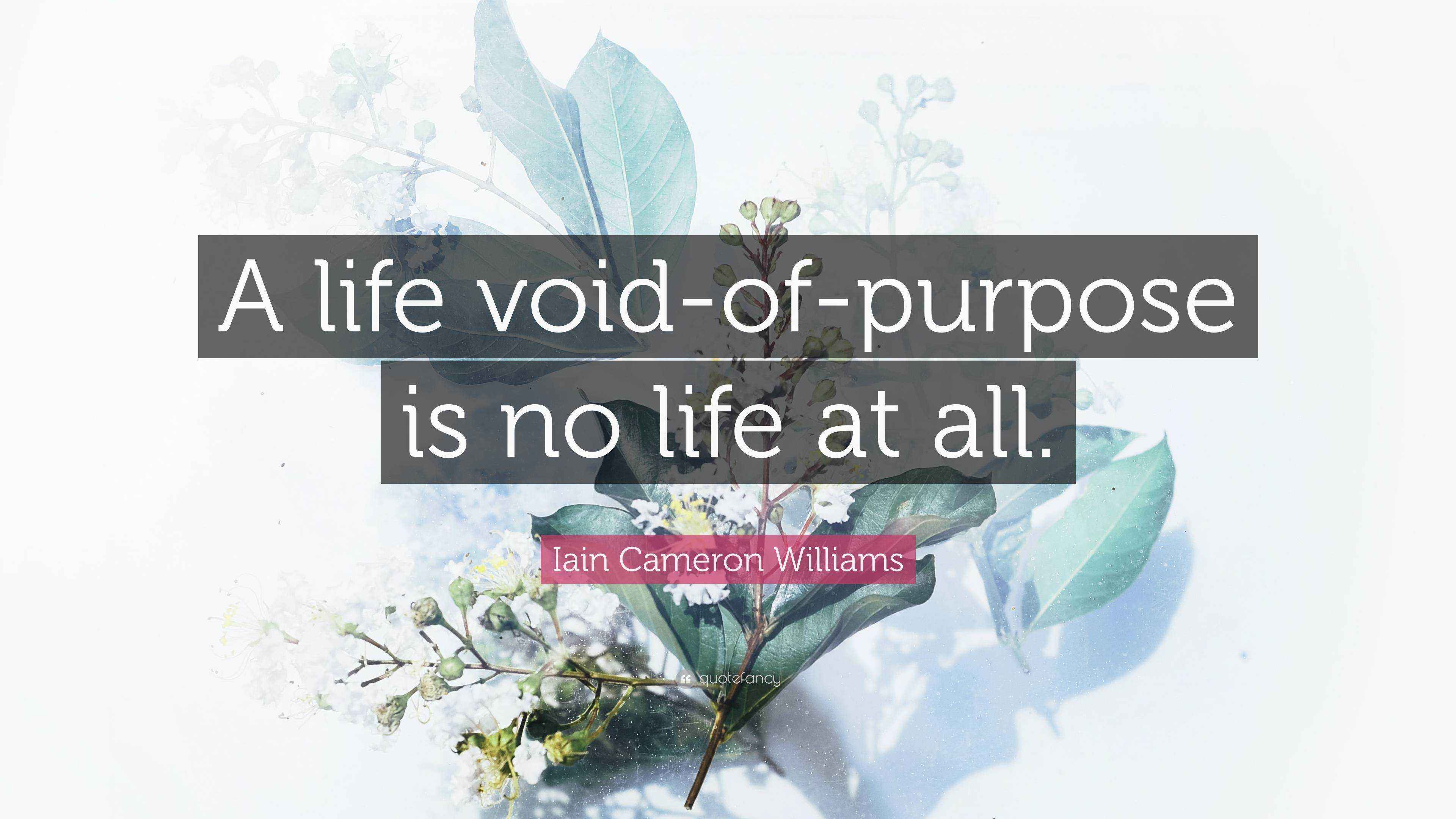 Iain Cameron Williams Quote: “A life void-of-purpose is no life at all.”