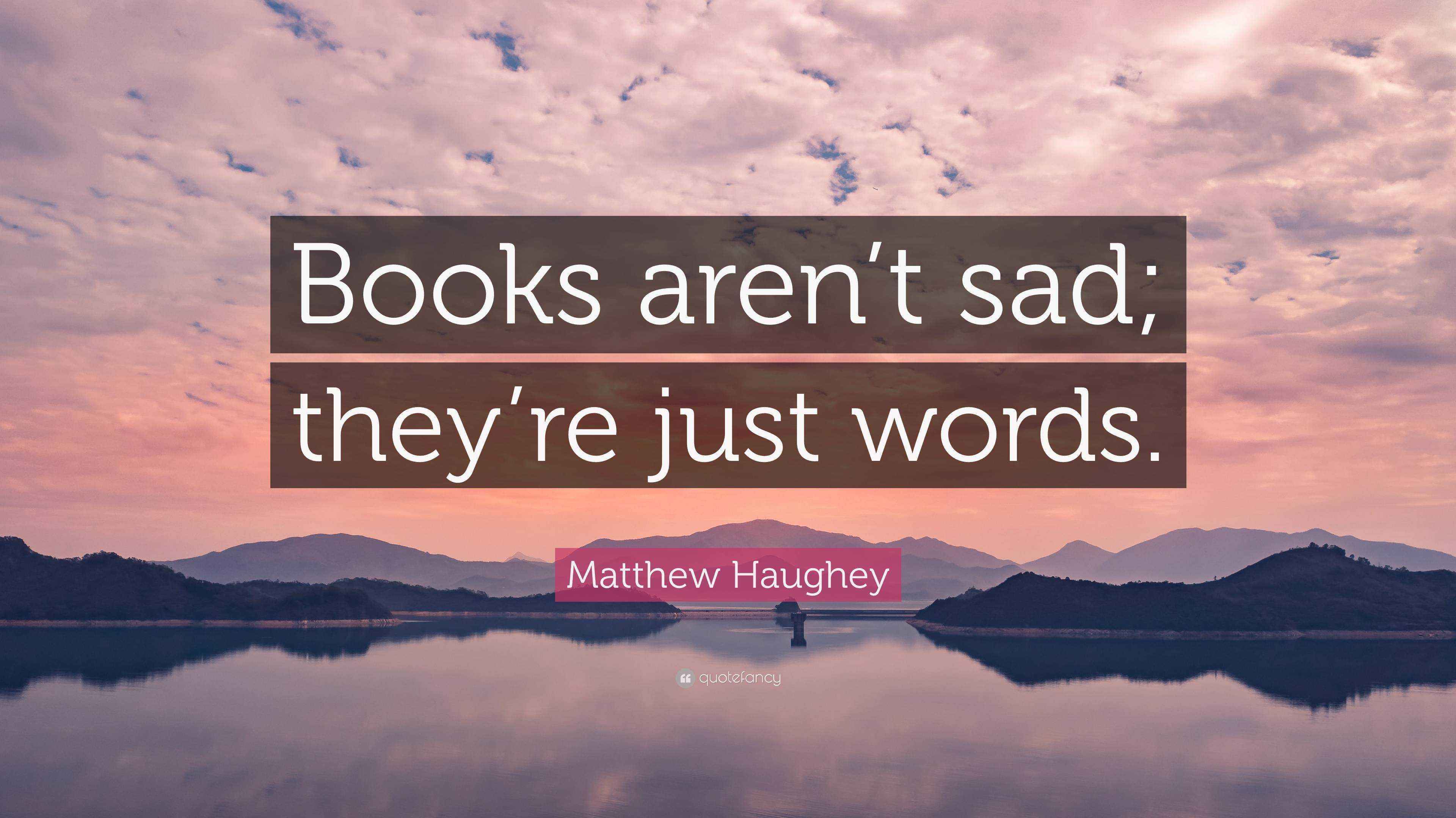 Matthew Haughey Quote: “Books aren’t sad; they’re just words.”