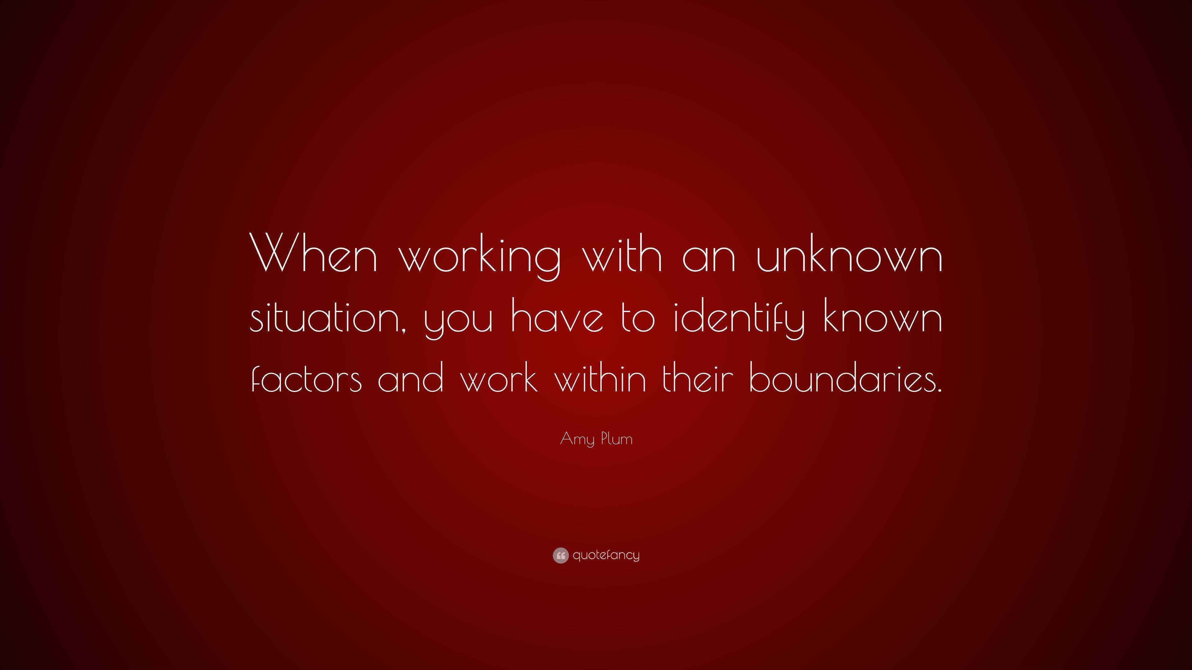 Amy Plum Quote: “When working with an unknown situation, you have to ...