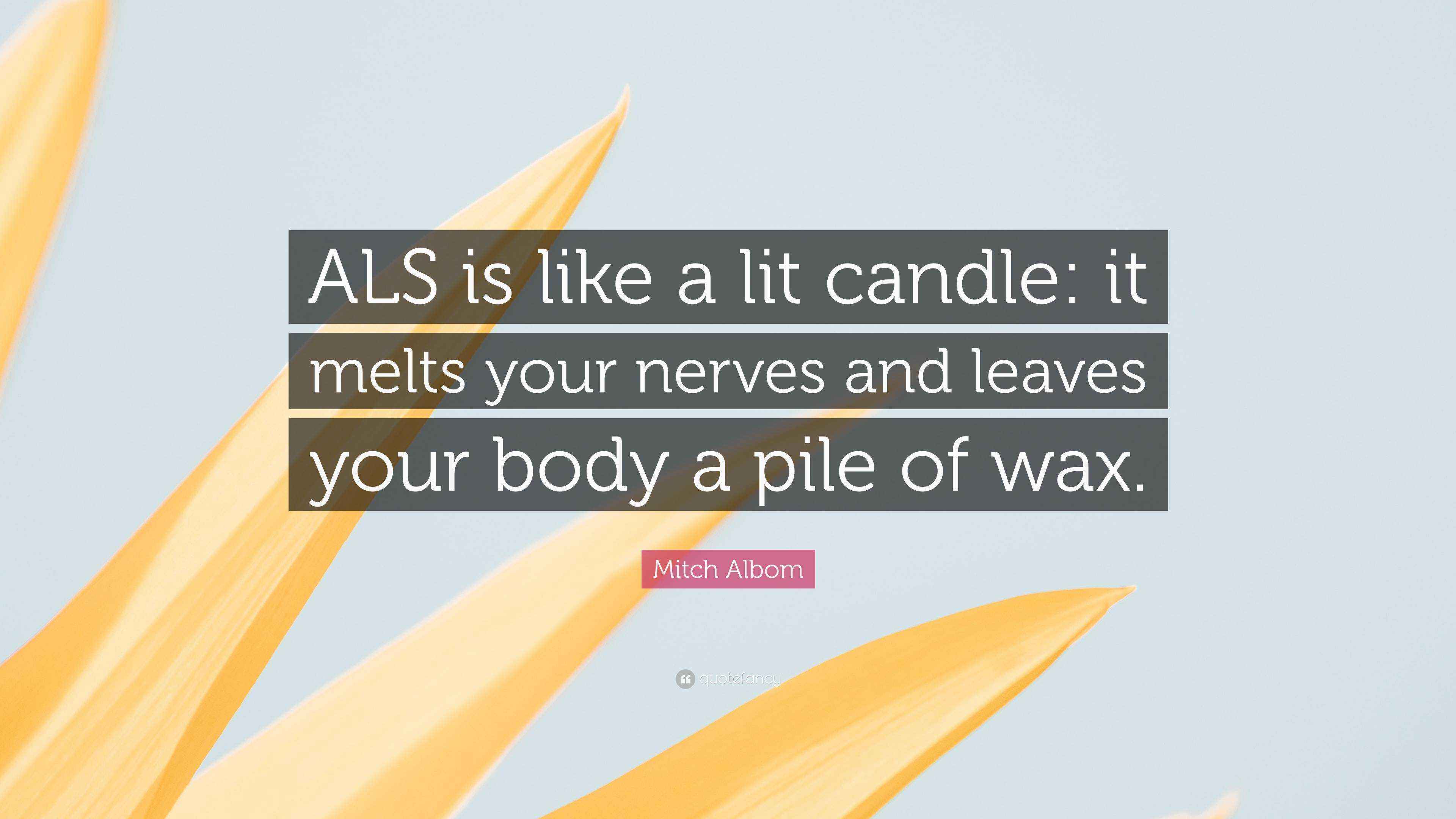 Mitch Albom Quote: “ALS is like a lit candle: it melts your nerves and ...