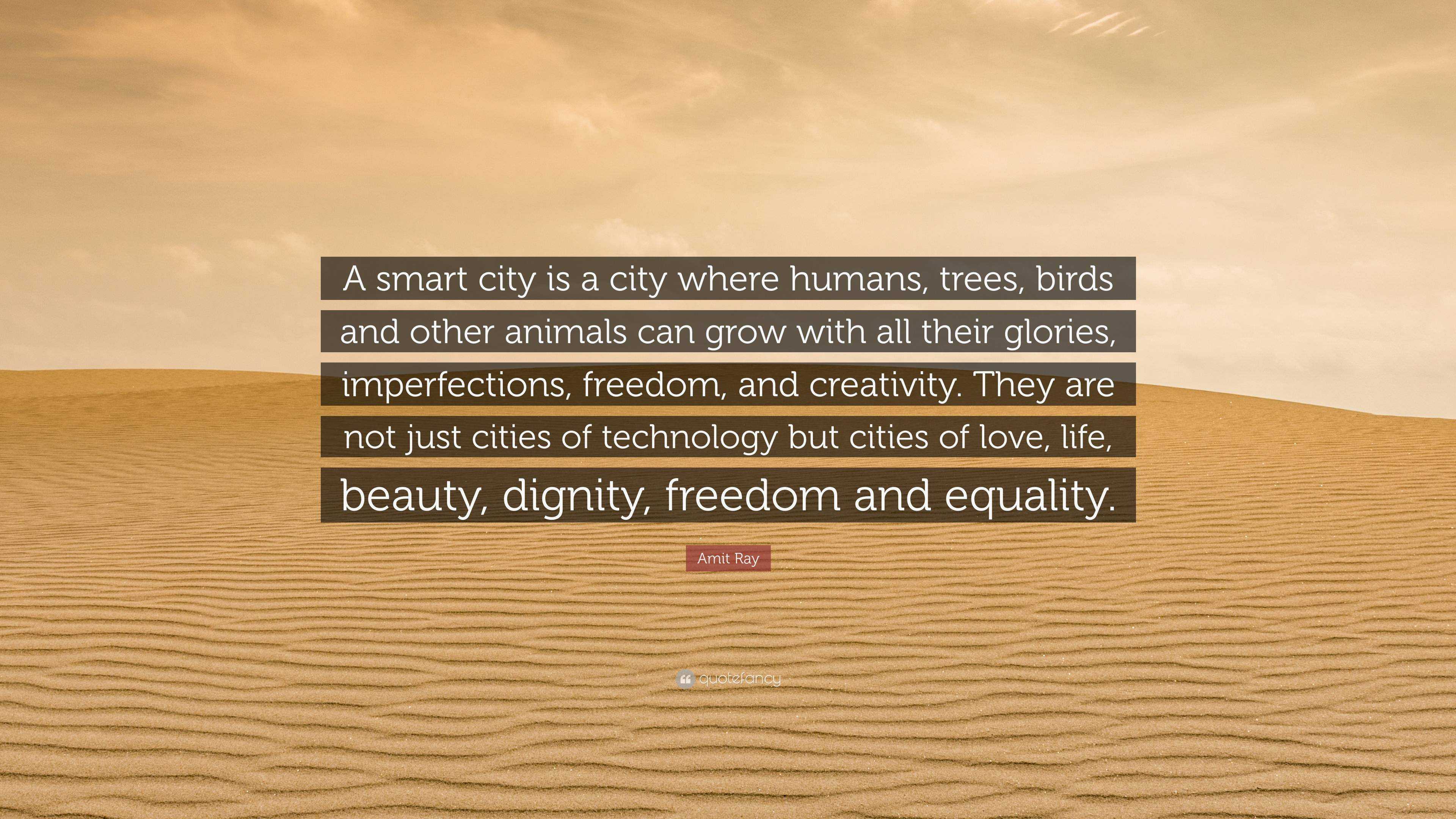 Amit Ray Quote: “A smart city is a city where humans, trees, birds and ...