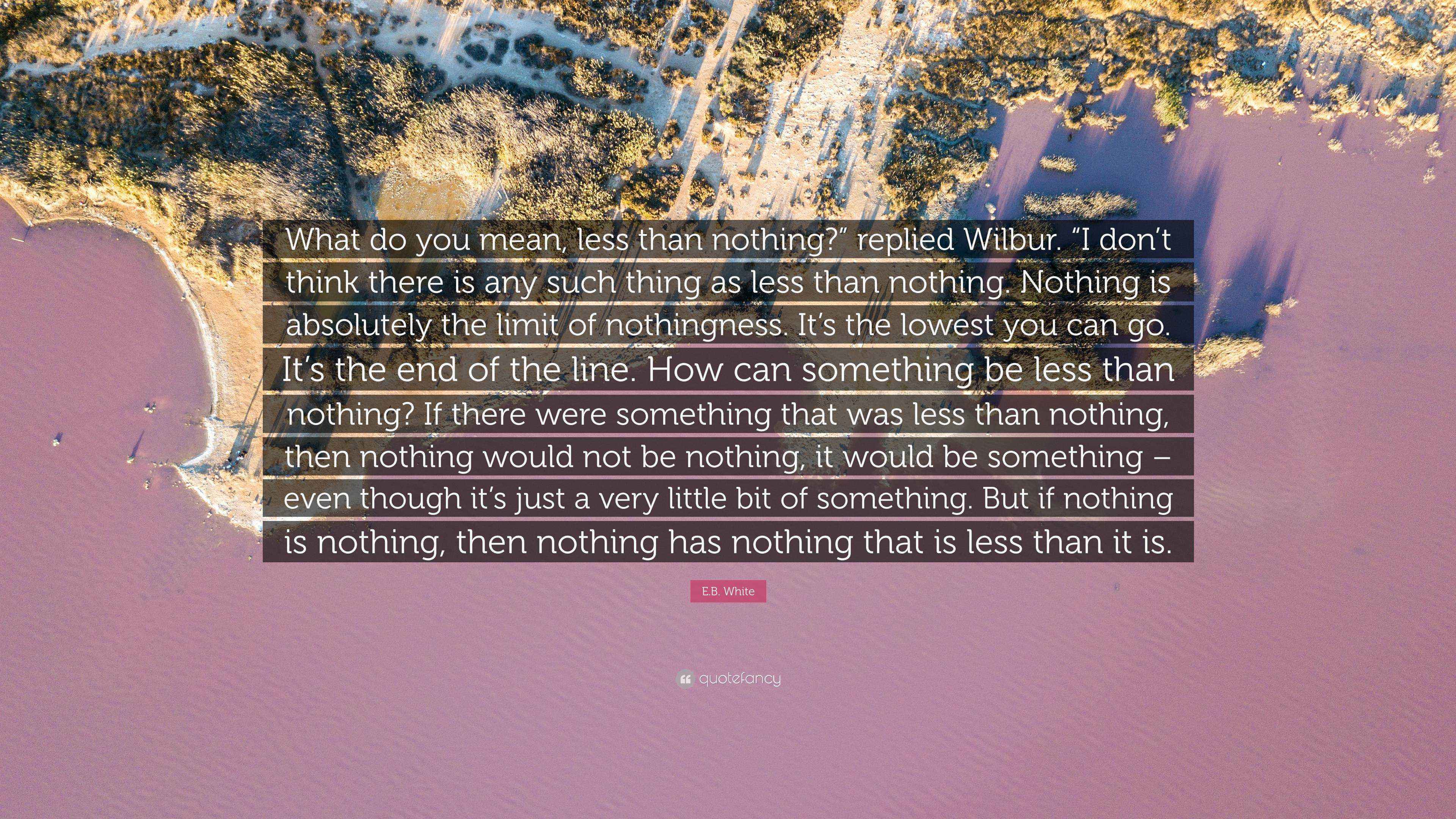 E.B. White Quote: “What do you mean, less than nothing?” replied Wilbur ...