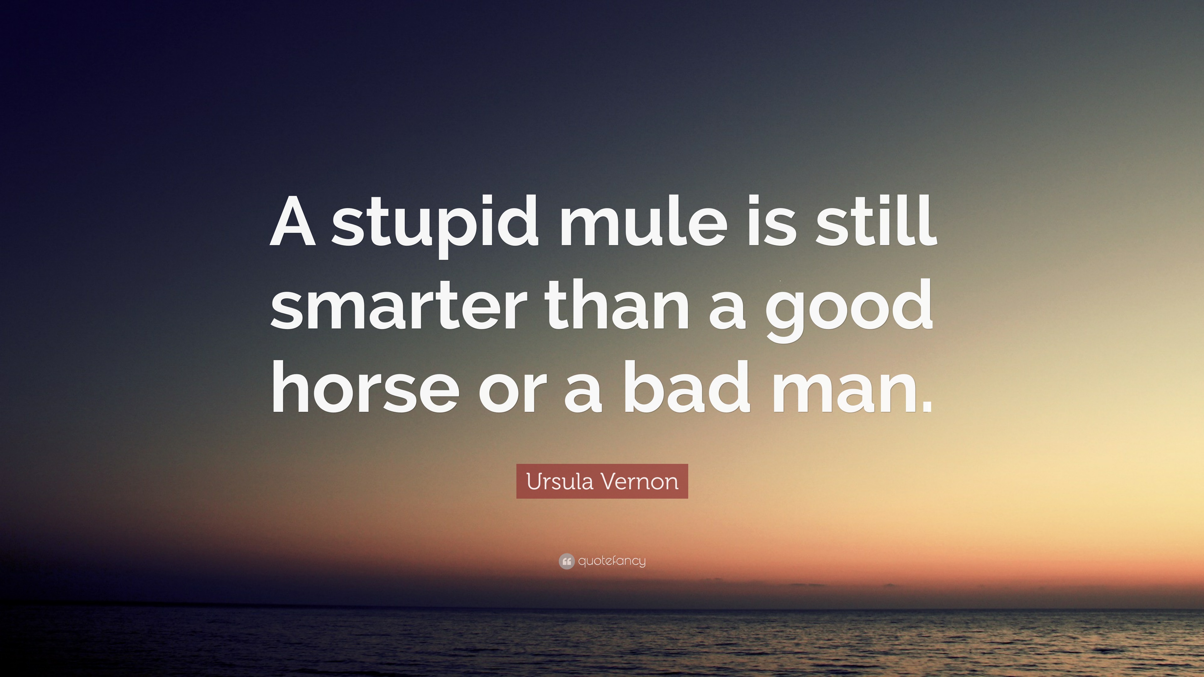 Ursula Vernon Quote: “A stupid mule is still smarter than a good horse ...