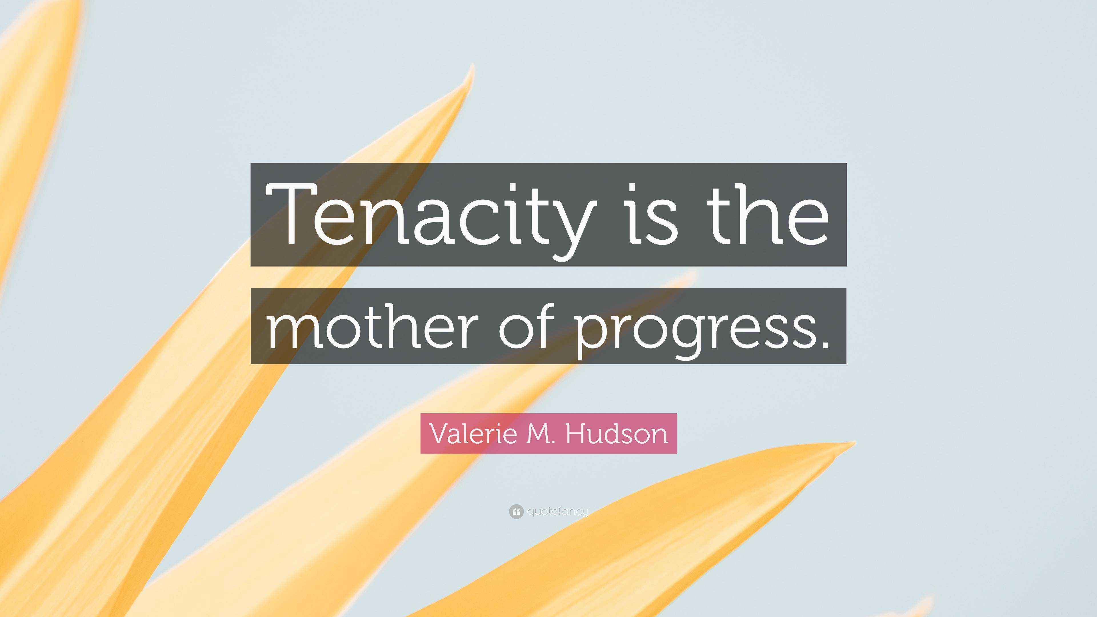Valerie M. Hudson Quote: “Tenacity is the mother of progress.”