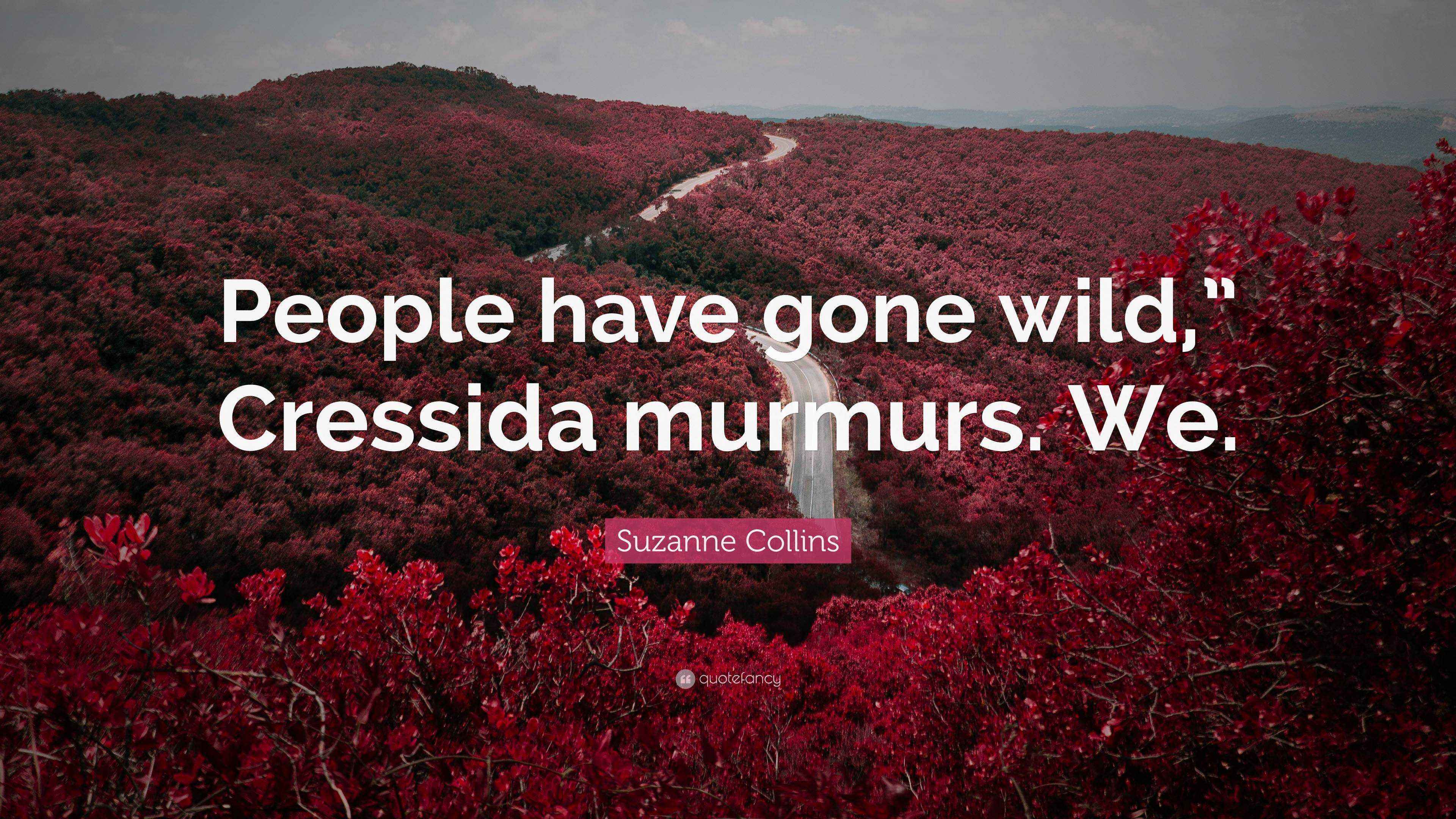 Suzanne Collins Quote: “People have gone wild,” Cressida murmurs. We.”