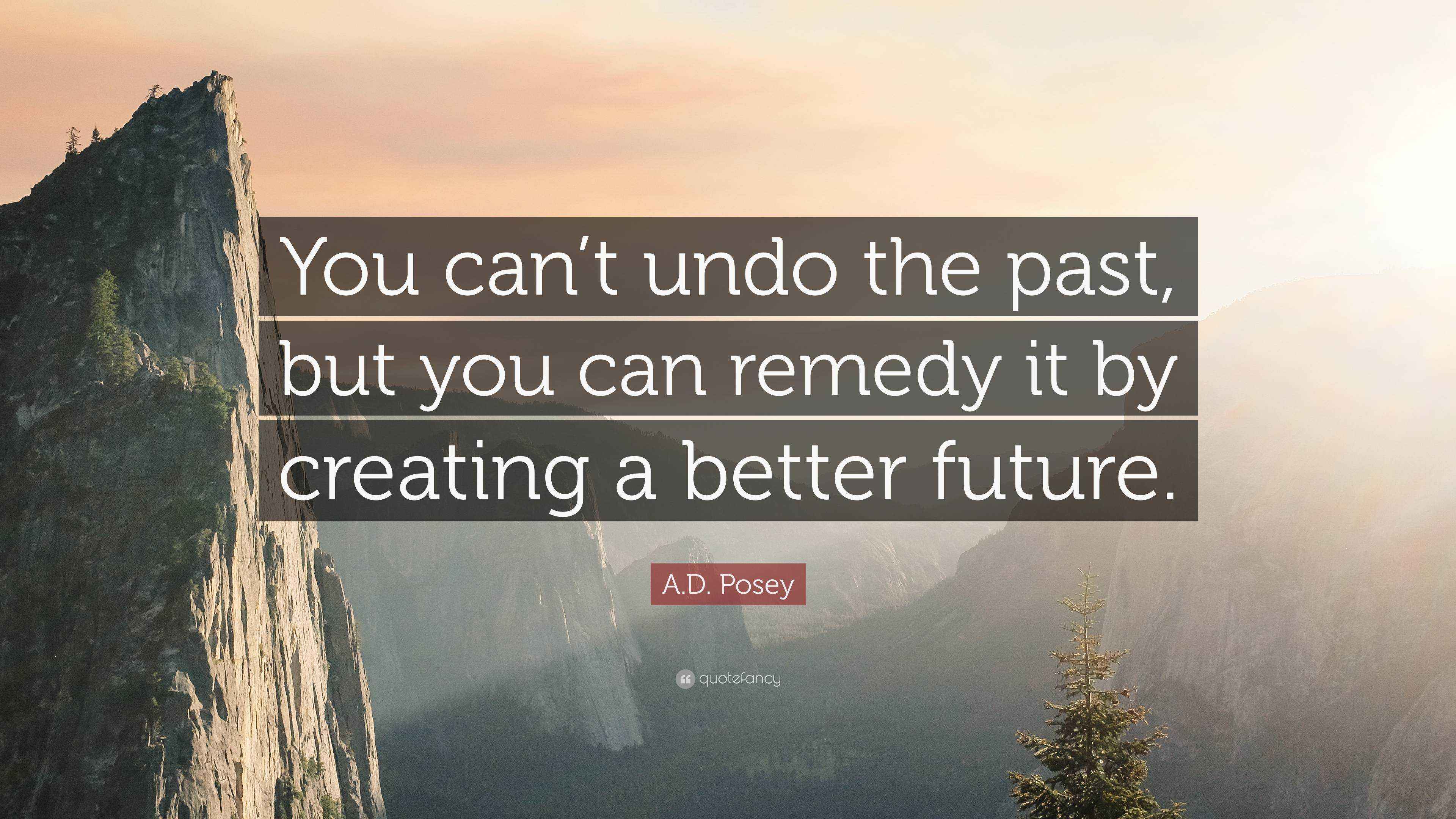 A.D. Posey Quote: “You can’t undo the past, but you can remedy it by ...