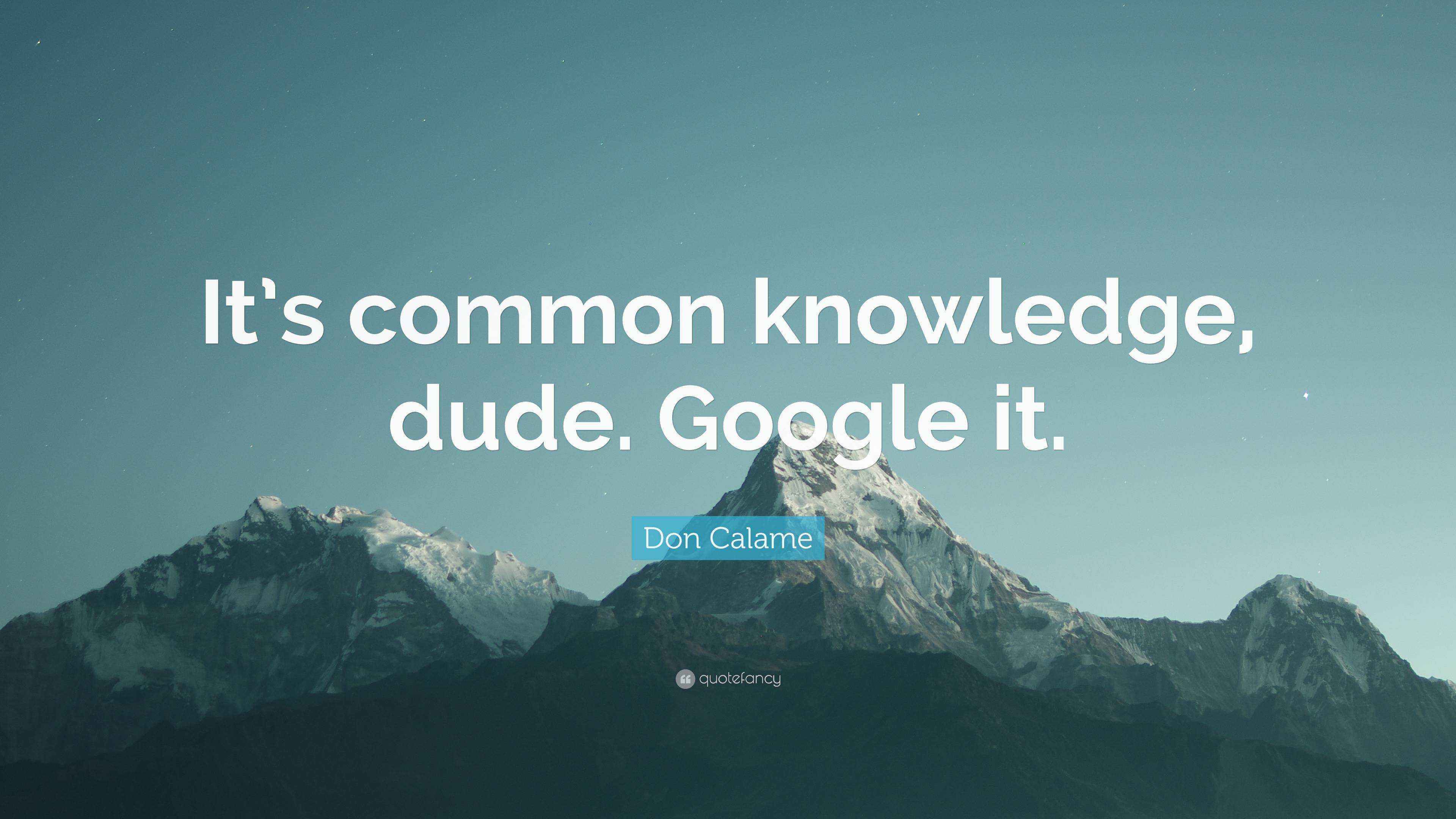 Don Calame Quote: “It’s common knowledge, dude. Google it.”