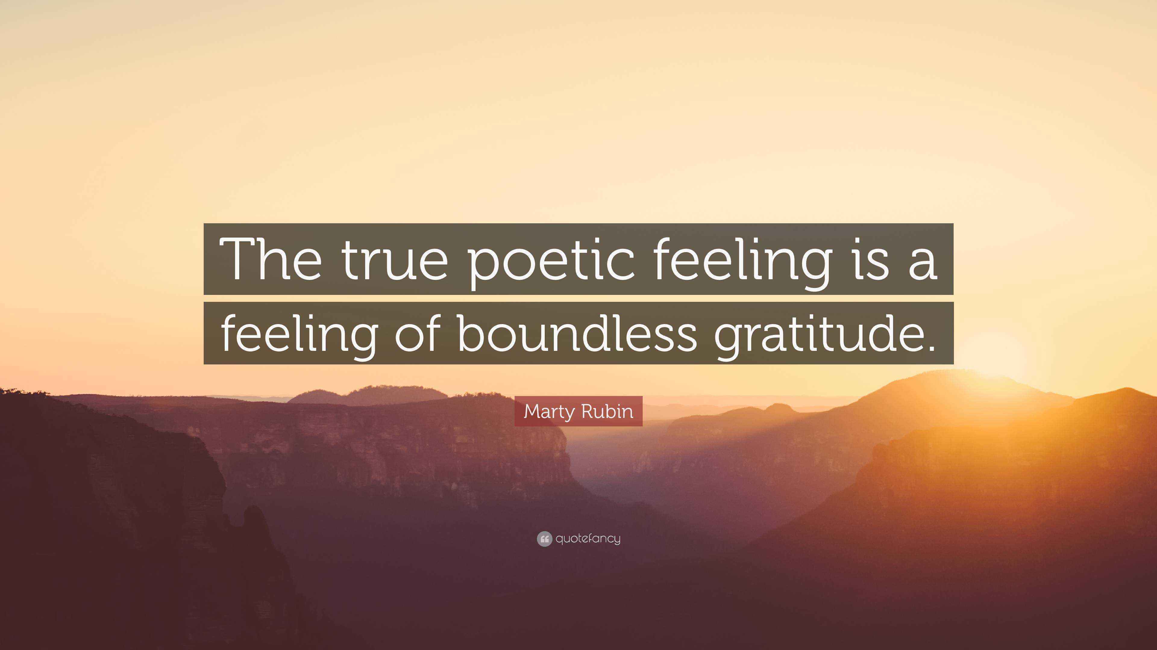 Marty Rubin Quote: “The true poetic feeling is a feeling of boundless ...