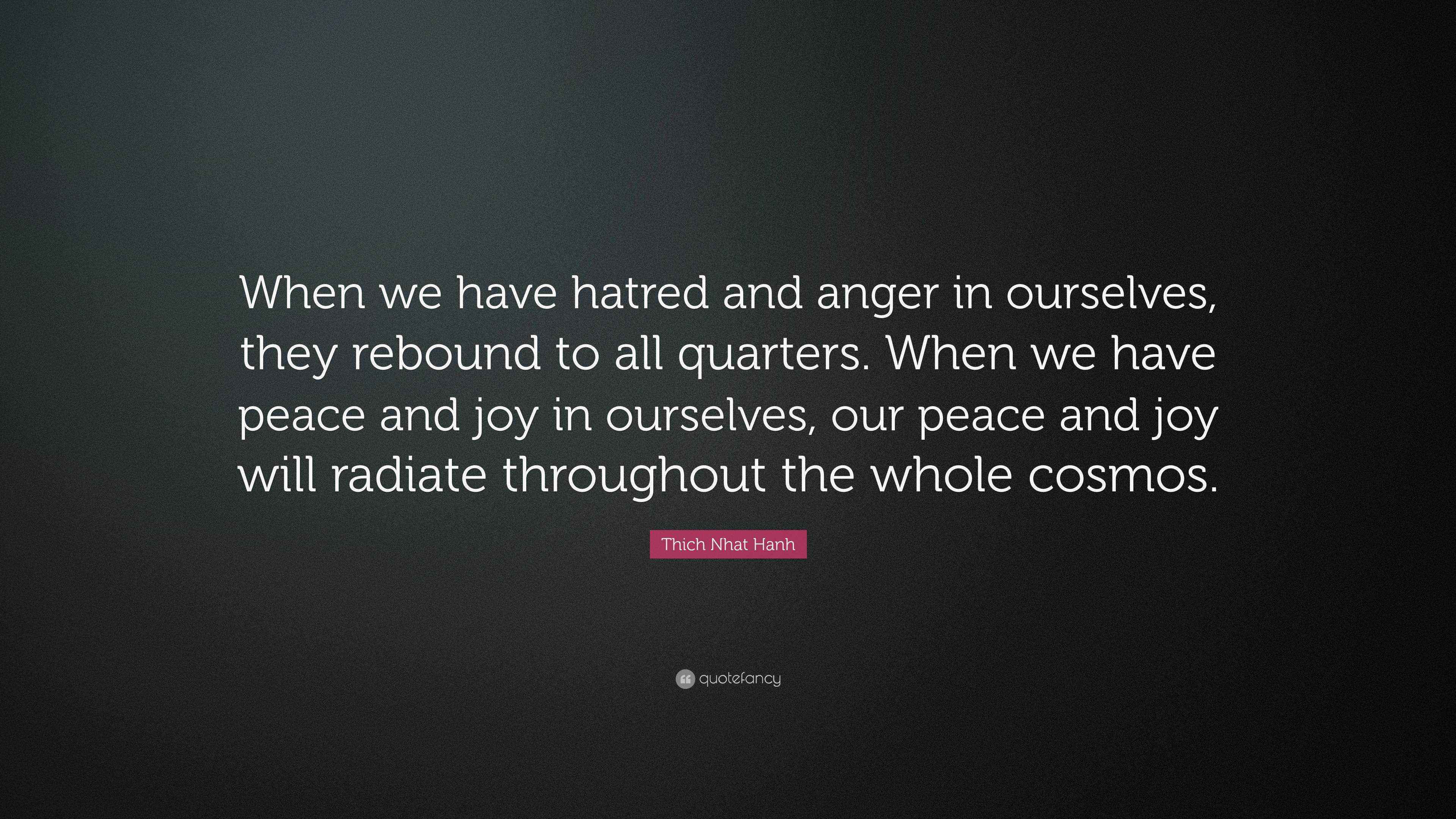 Thich Nhat Hanh Quote: “When we have hatred and anger in ourselves ...