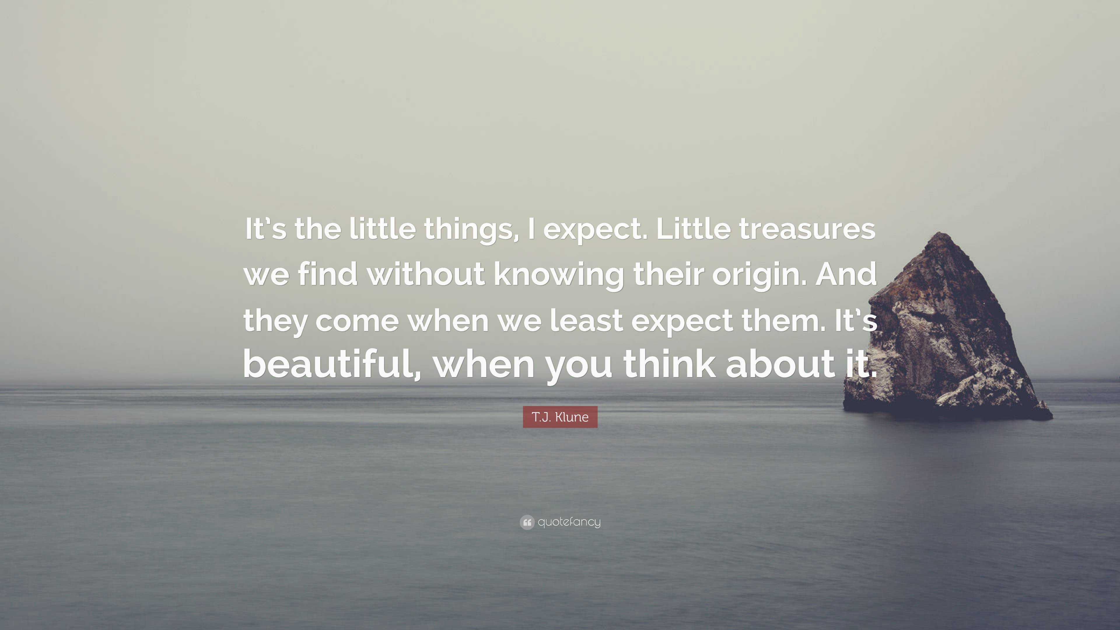 T.J. Klune Quote: “It’s the little things, I expect. Little treasures ...