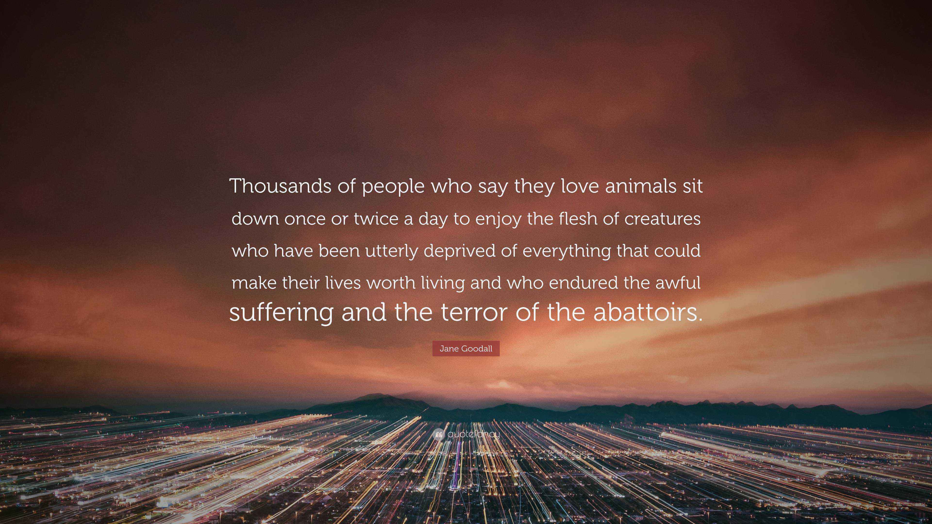 Jane Goodall Quote: “Thousands of people who say they love animals sit ...