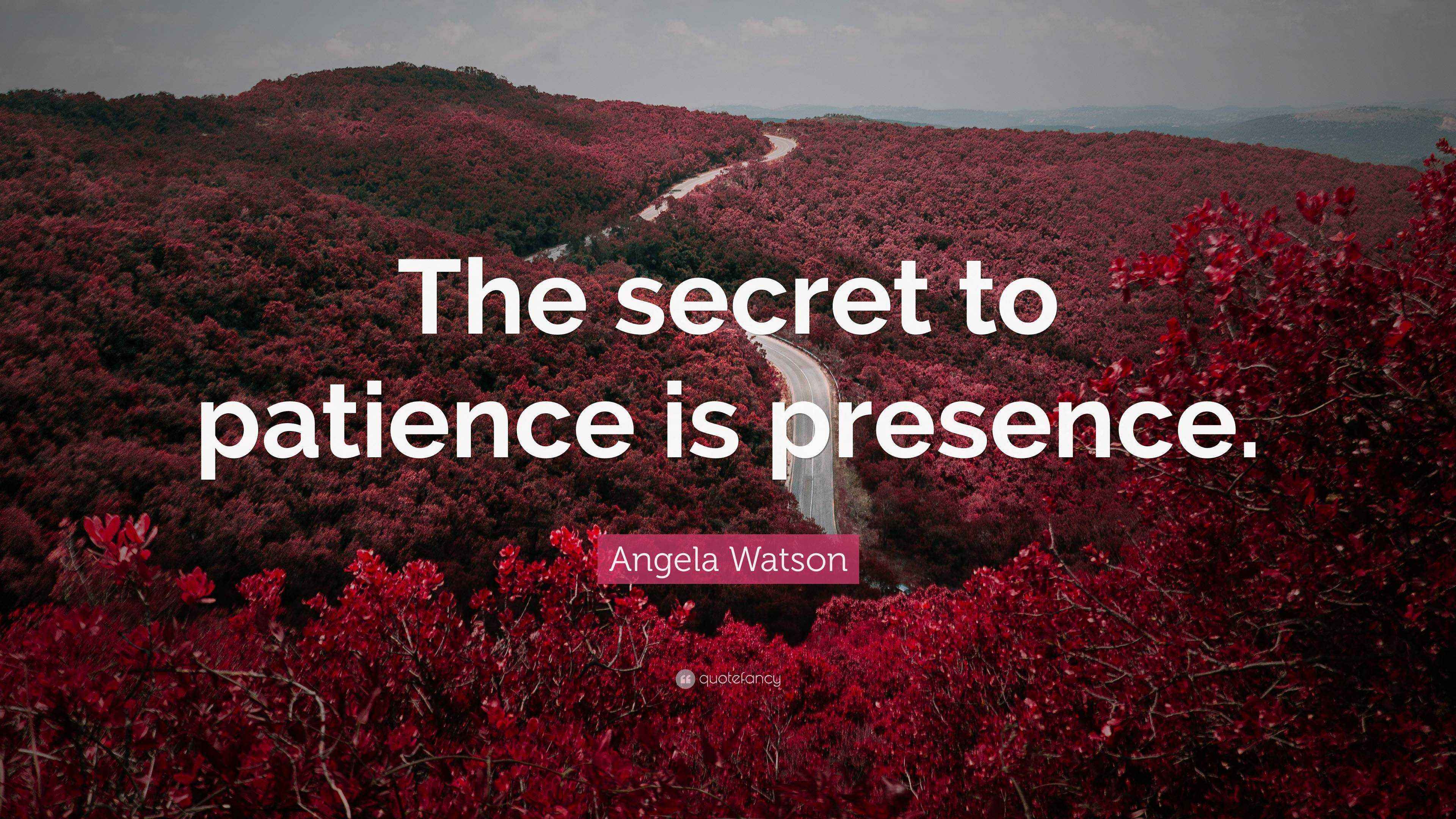 Angela Watson Quote: “The secret to patience is presence.”