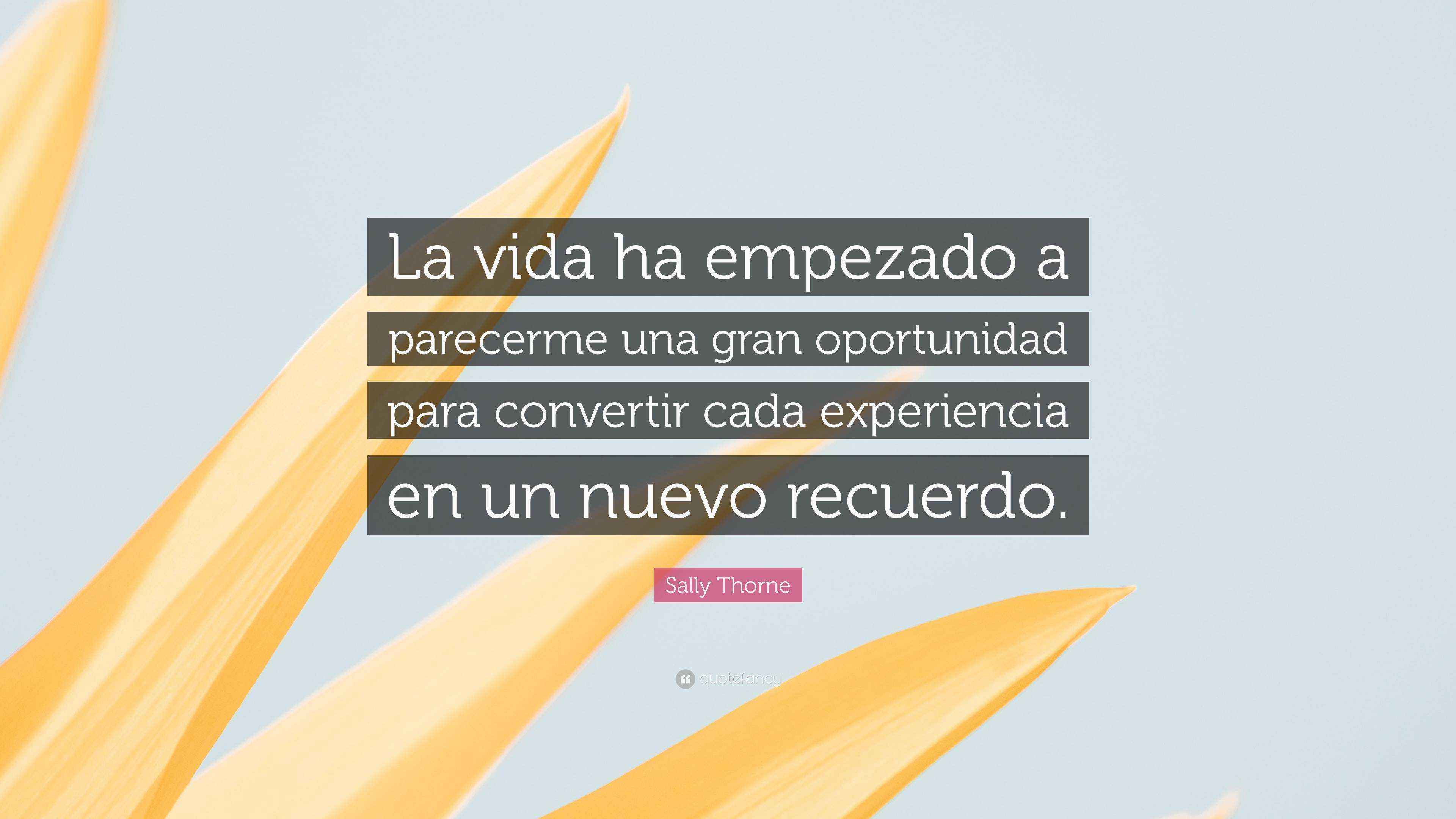 Sally Thorne Quote: “La vida ha empezado a parecerme una gran ...