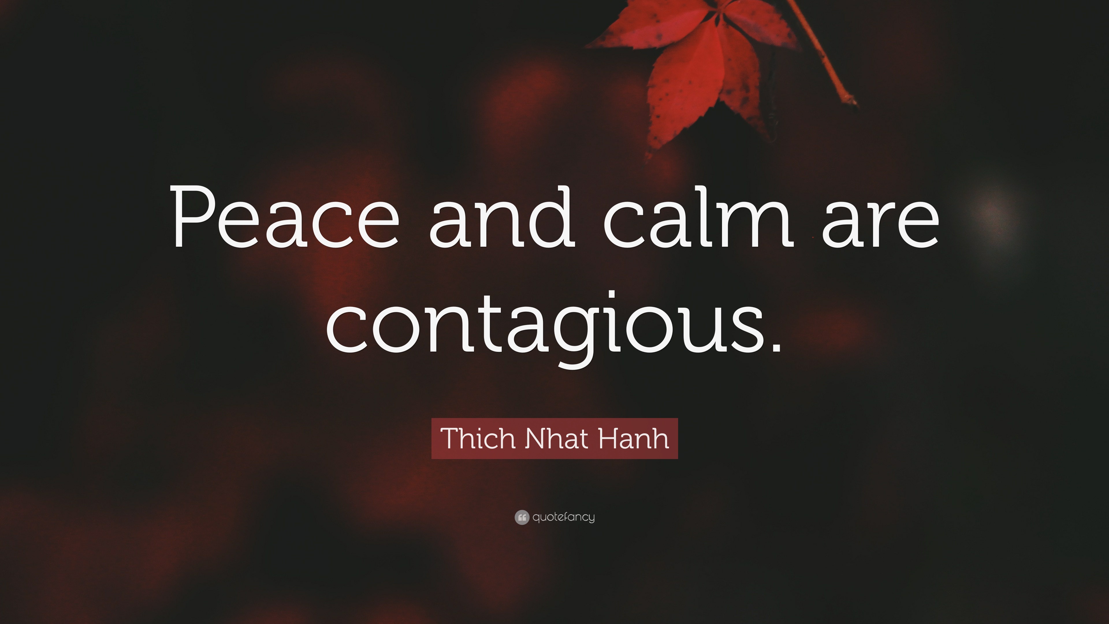 Thich Nhat Hanh Quote: “Peace and calm are contagious.”