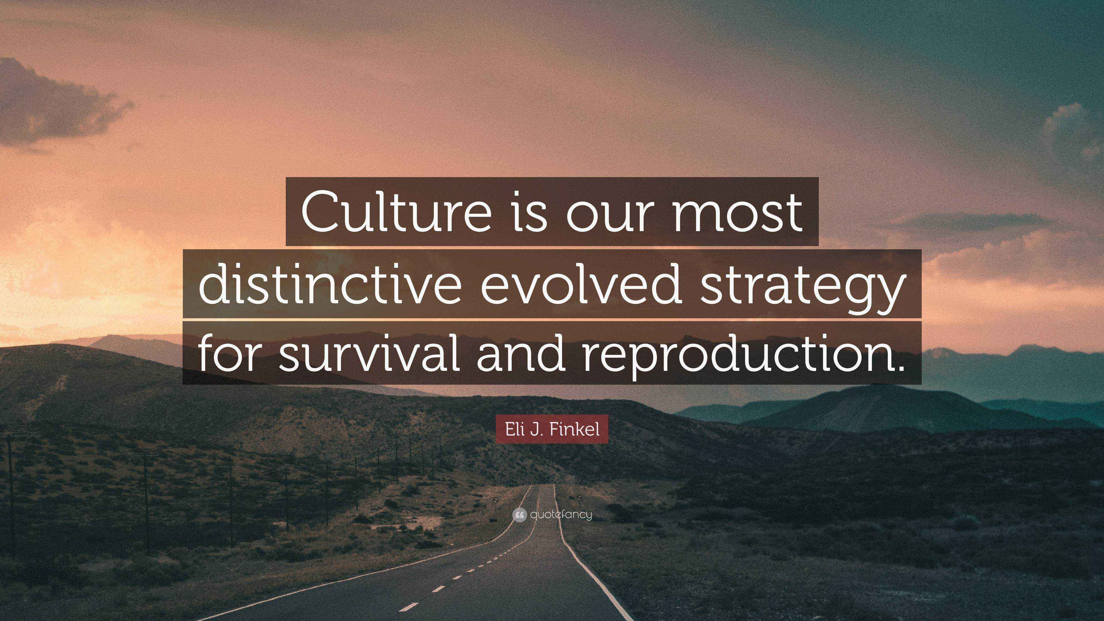 Eli J. Finkel Quote: “Culture is our most distinctive evolved strategy ...