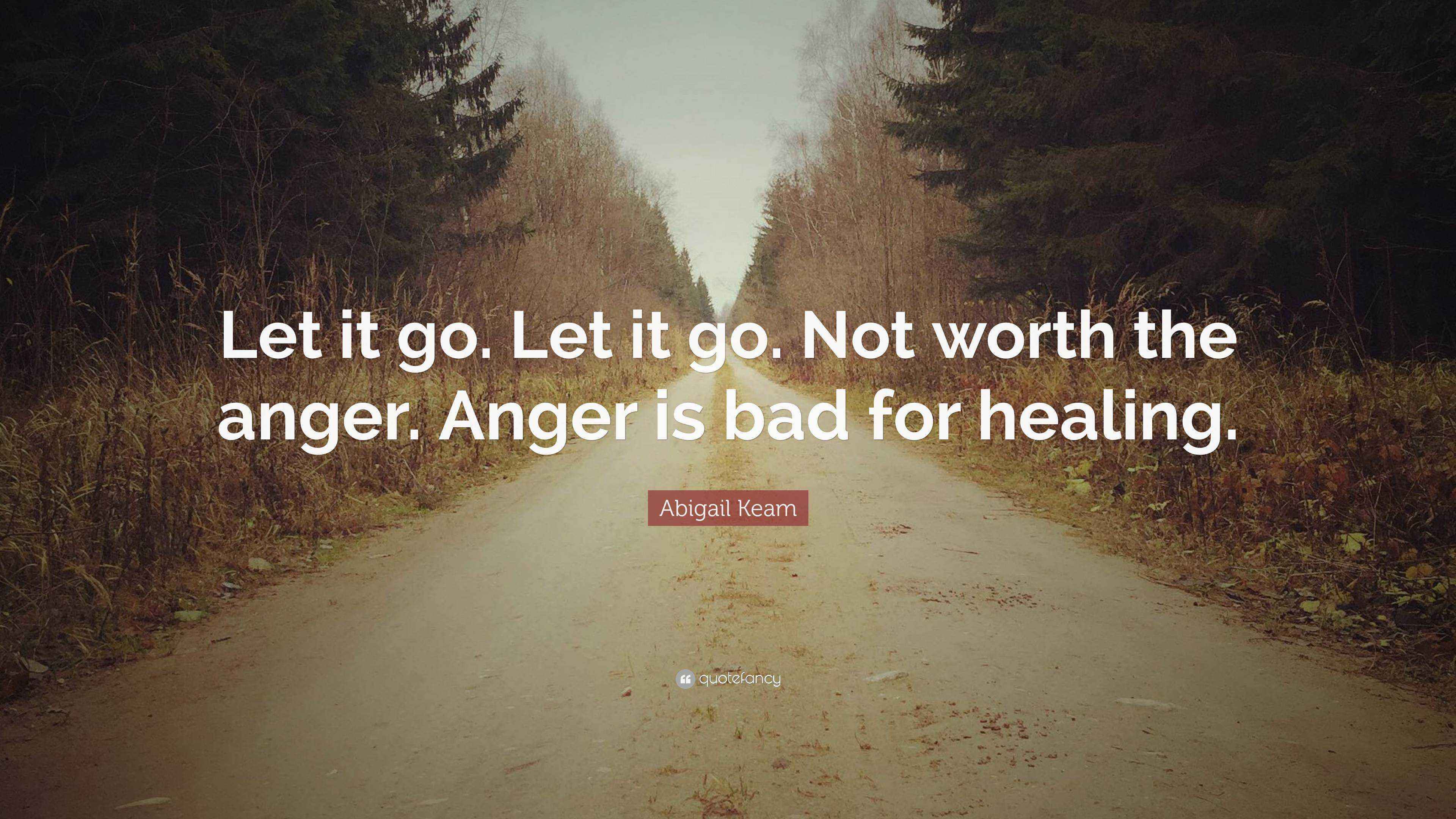 Abigail Keam Quote: “Let it go. Let it go. Not worth the anger. Anger ...