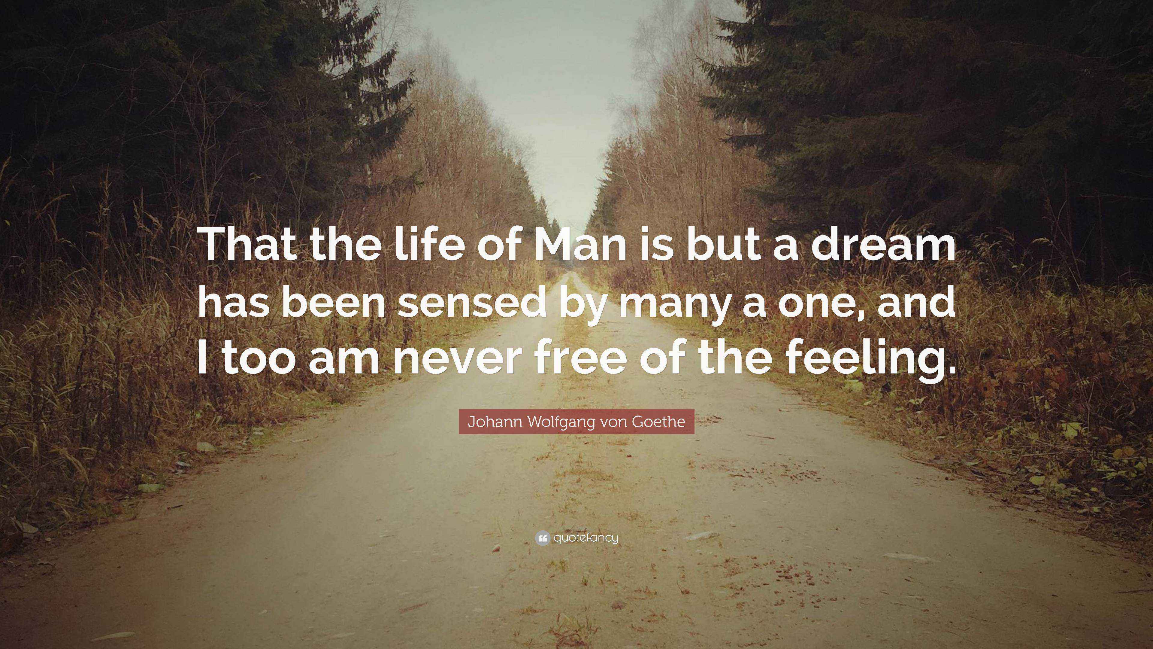 Johann Wolfgang von Goethe Quote: “That the life of Man is but a dream ...