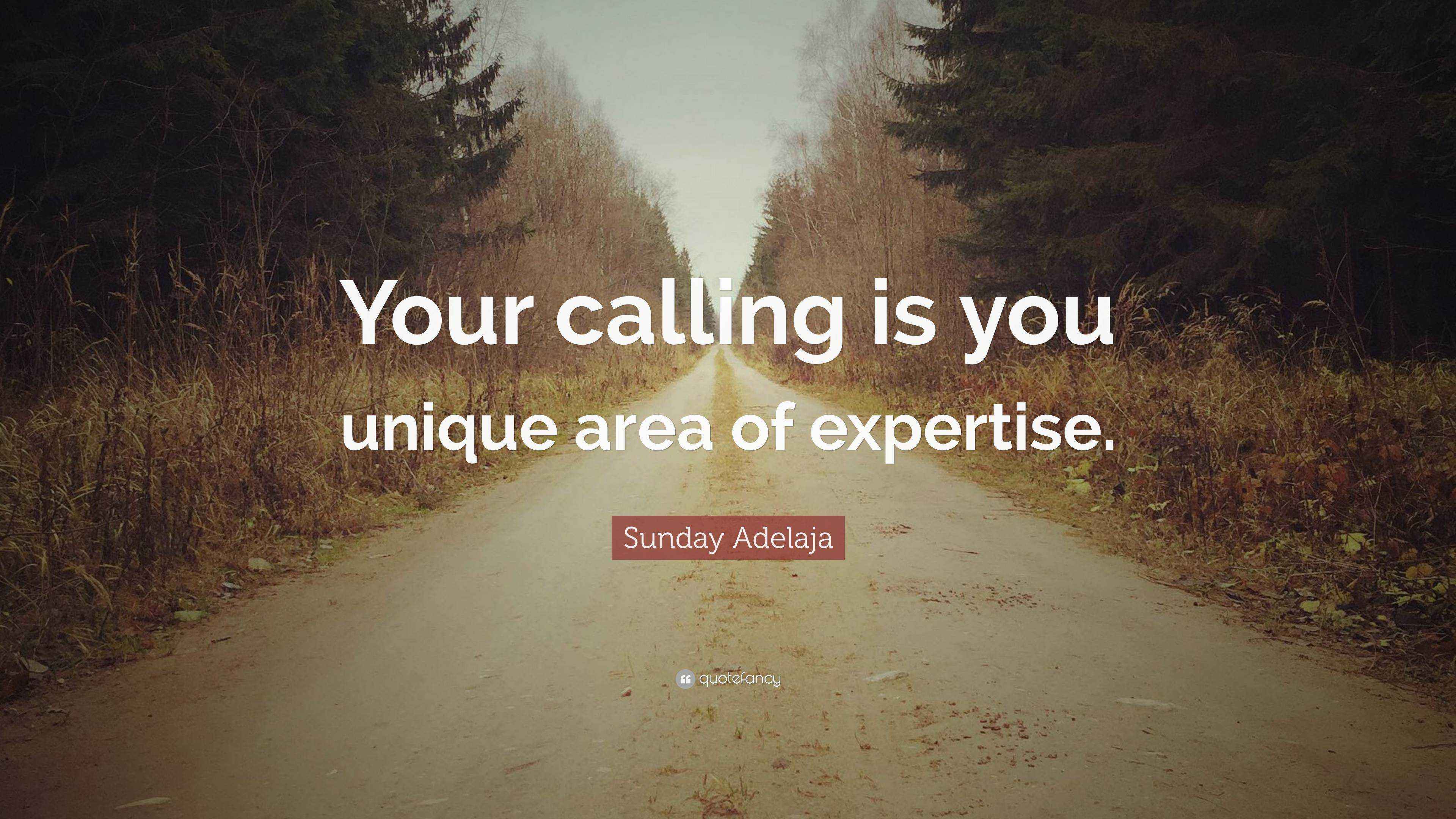 Sunday Adelaja Quote: “Your calling is you unique area of expertise.”