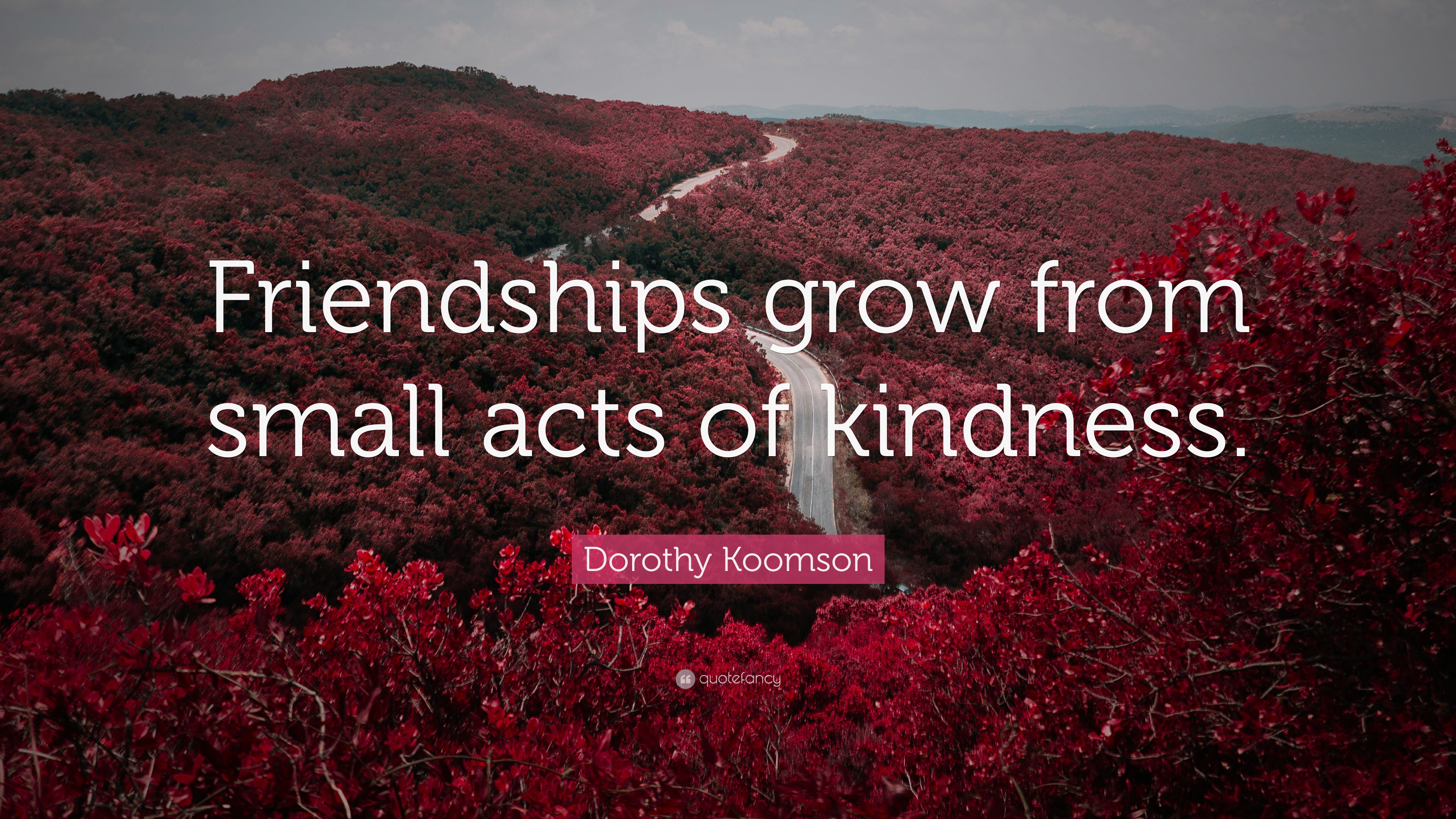Dorothy Koomson Quote: “Friendships grow from small acts of kindness.”