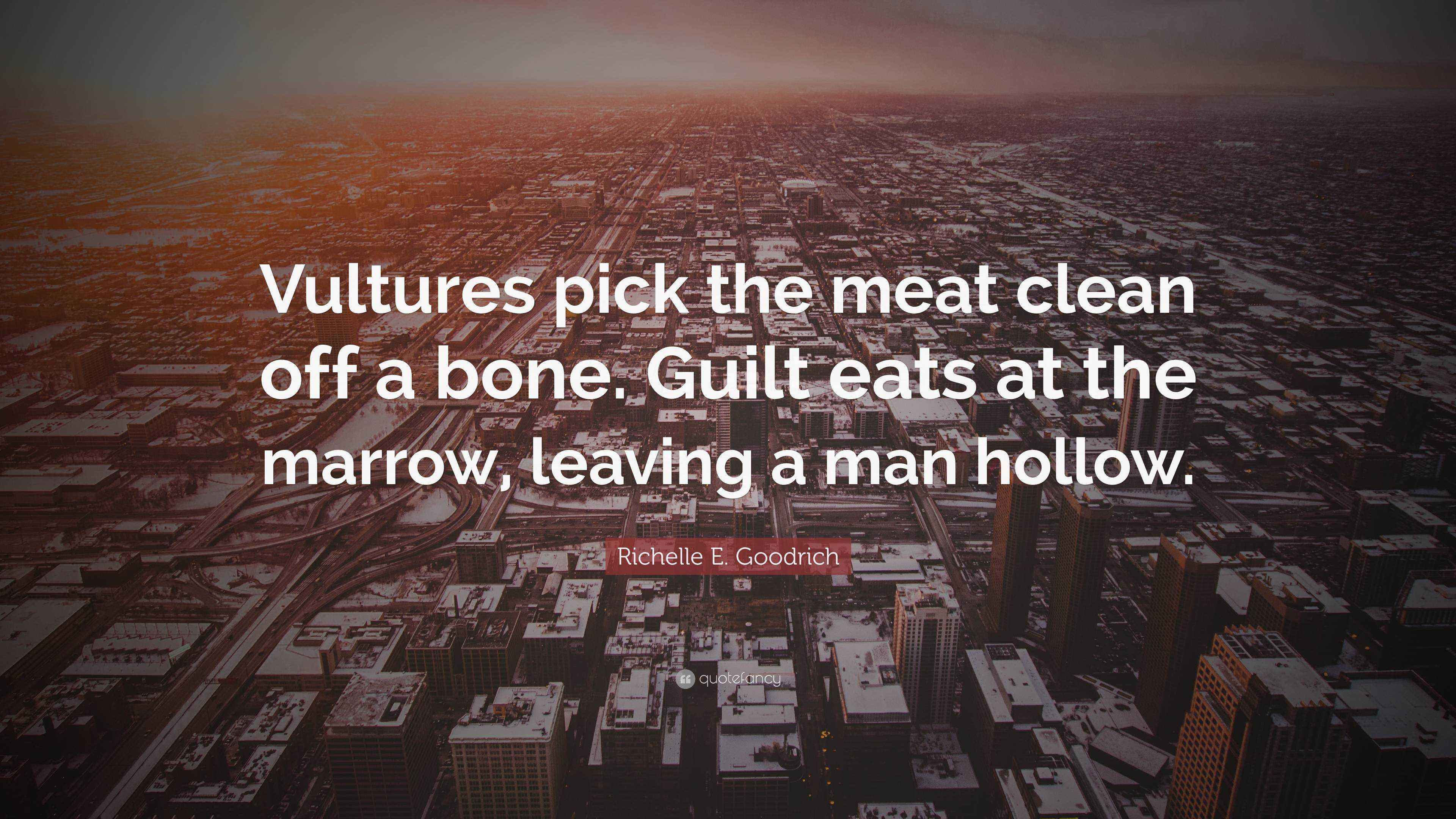 Richelle E. Goodrich Quote: “Vultures pick the meat clean off a bone ...