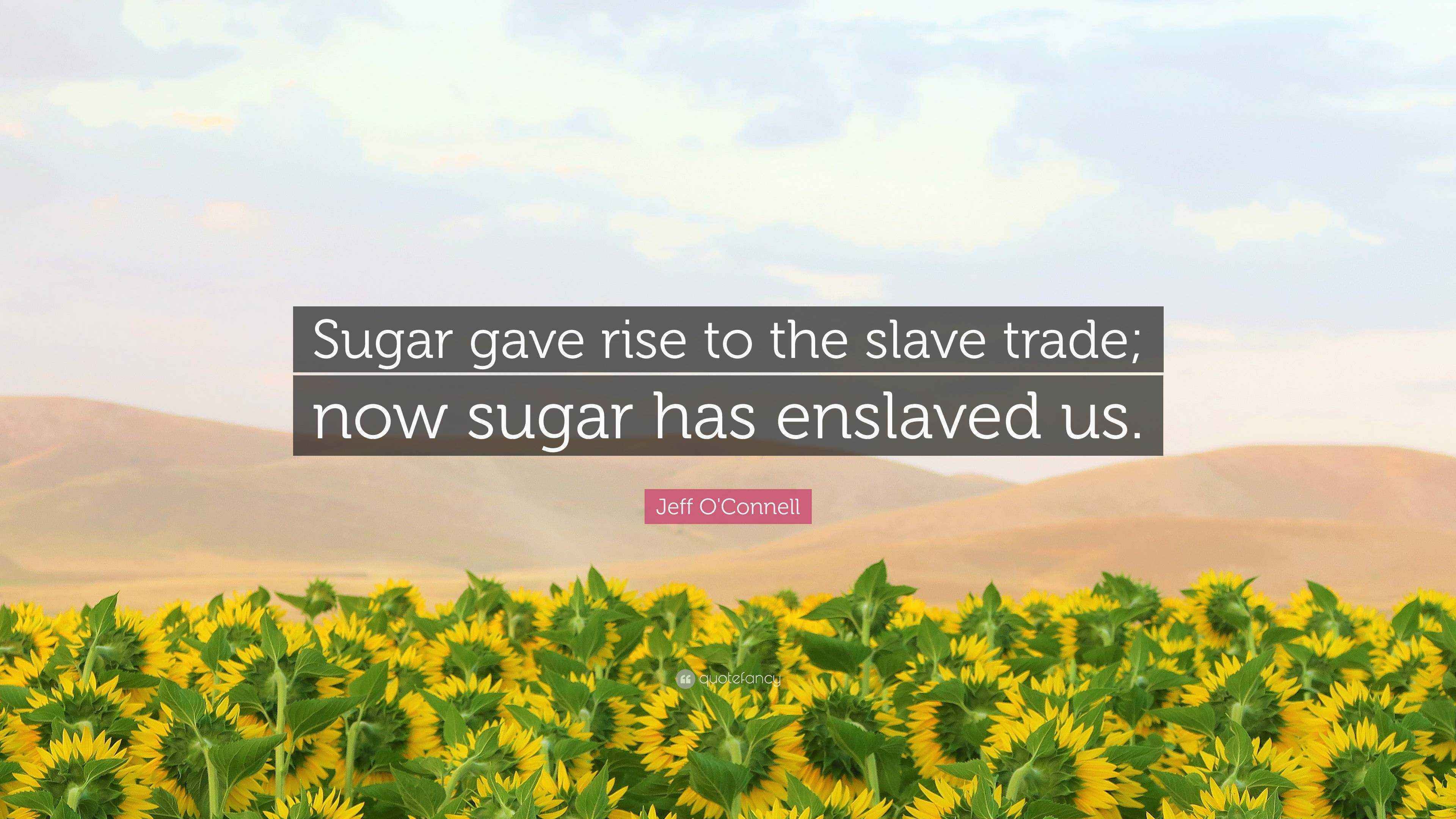 Jeff O'Connell Quote: “Sugar gave rise to the slave trade; now sugar ...