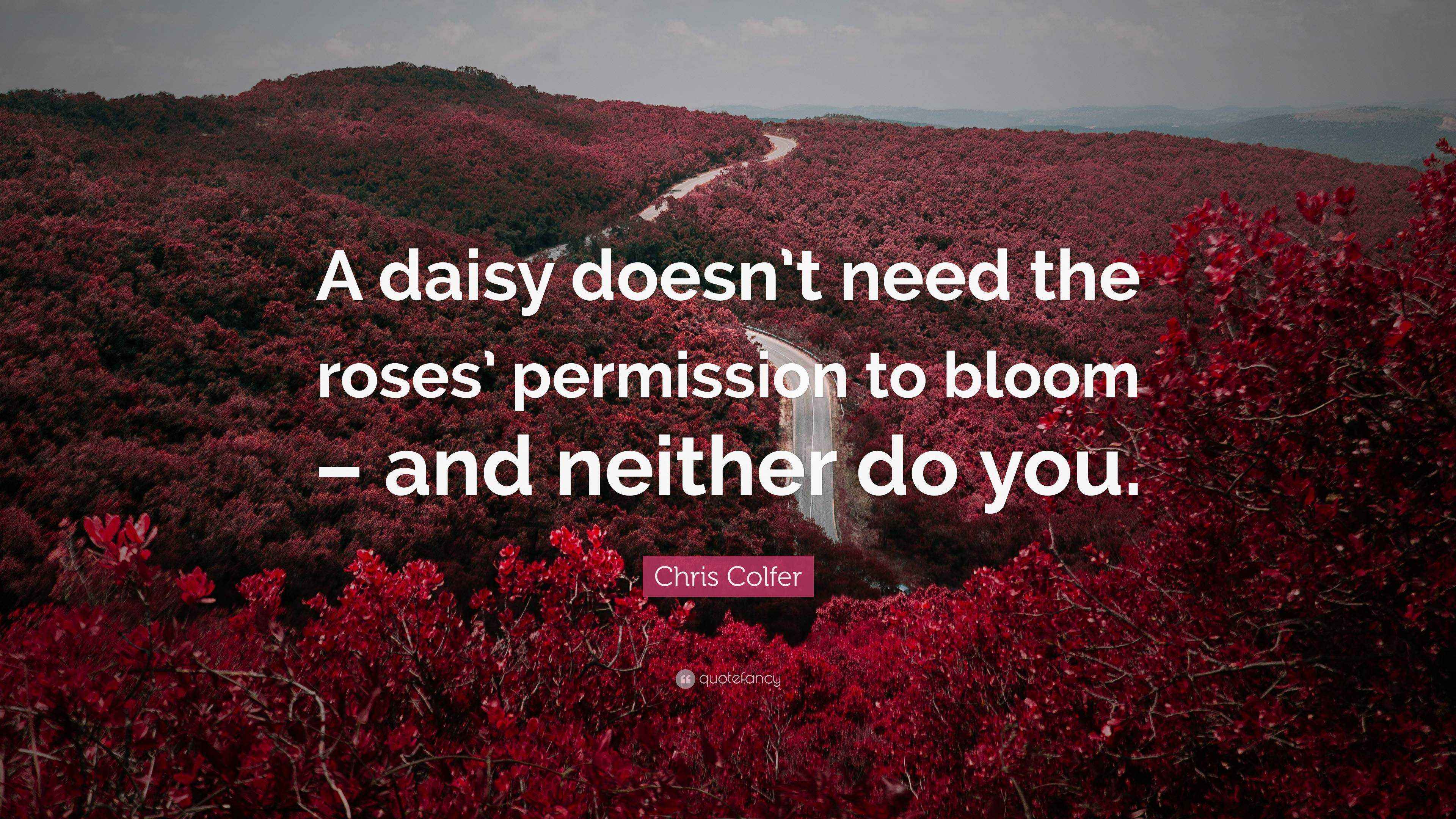 Chris Colfer Quote: “A daisy doesn’t need the roses’ permission to ...