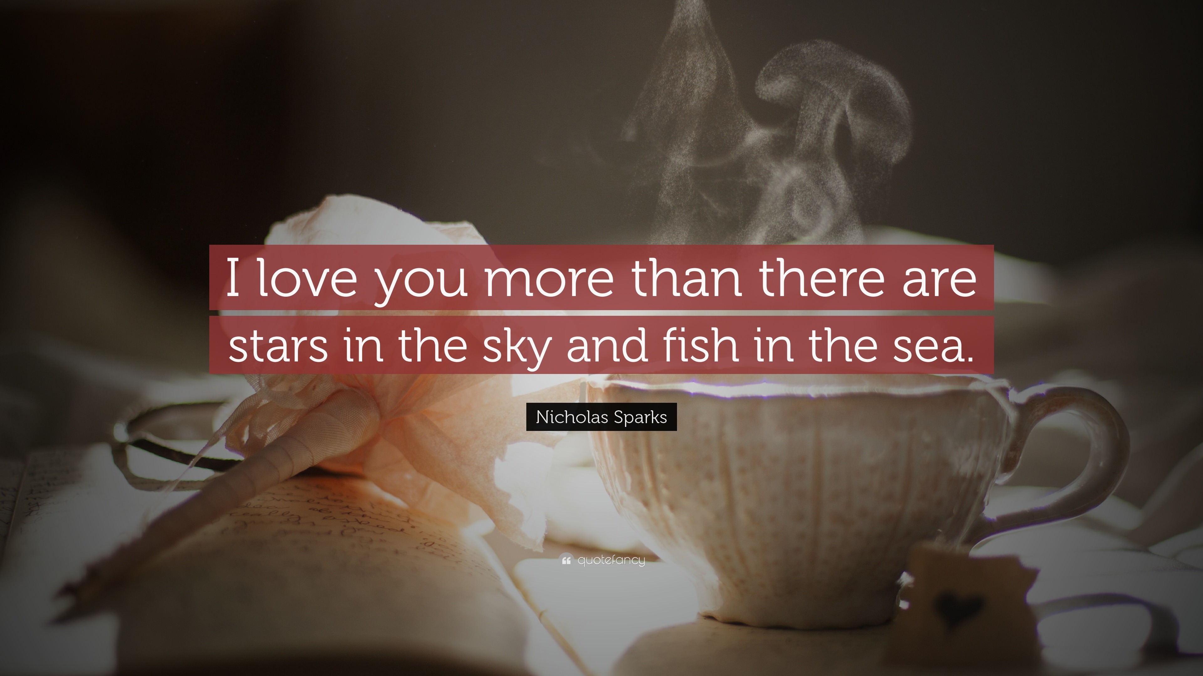Nicholas Sparks Quote: “I love you more than there are stars in the sky ...