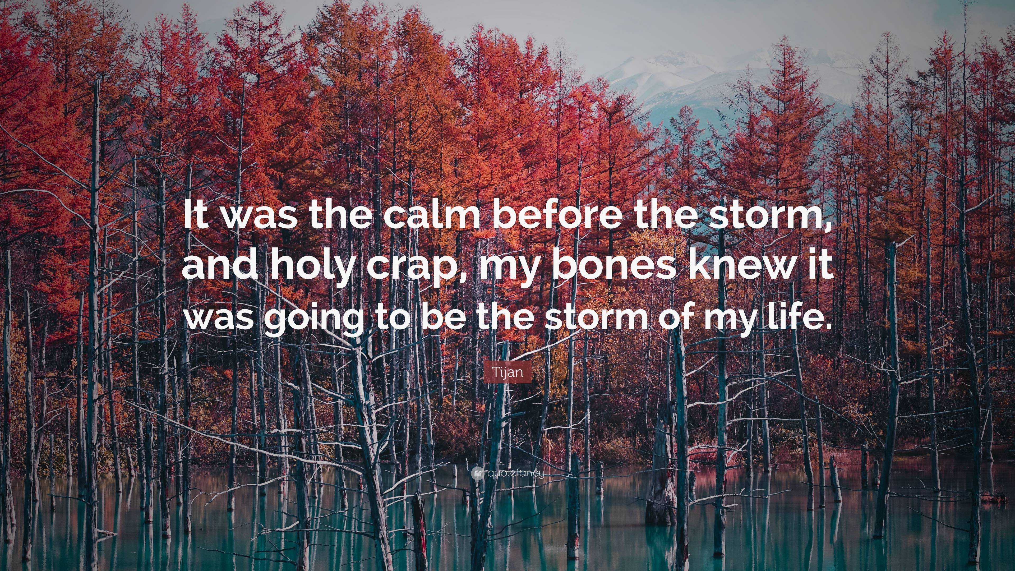 Tijan Quote: “It was the calm before the storm, and holy crap, my bones ...
