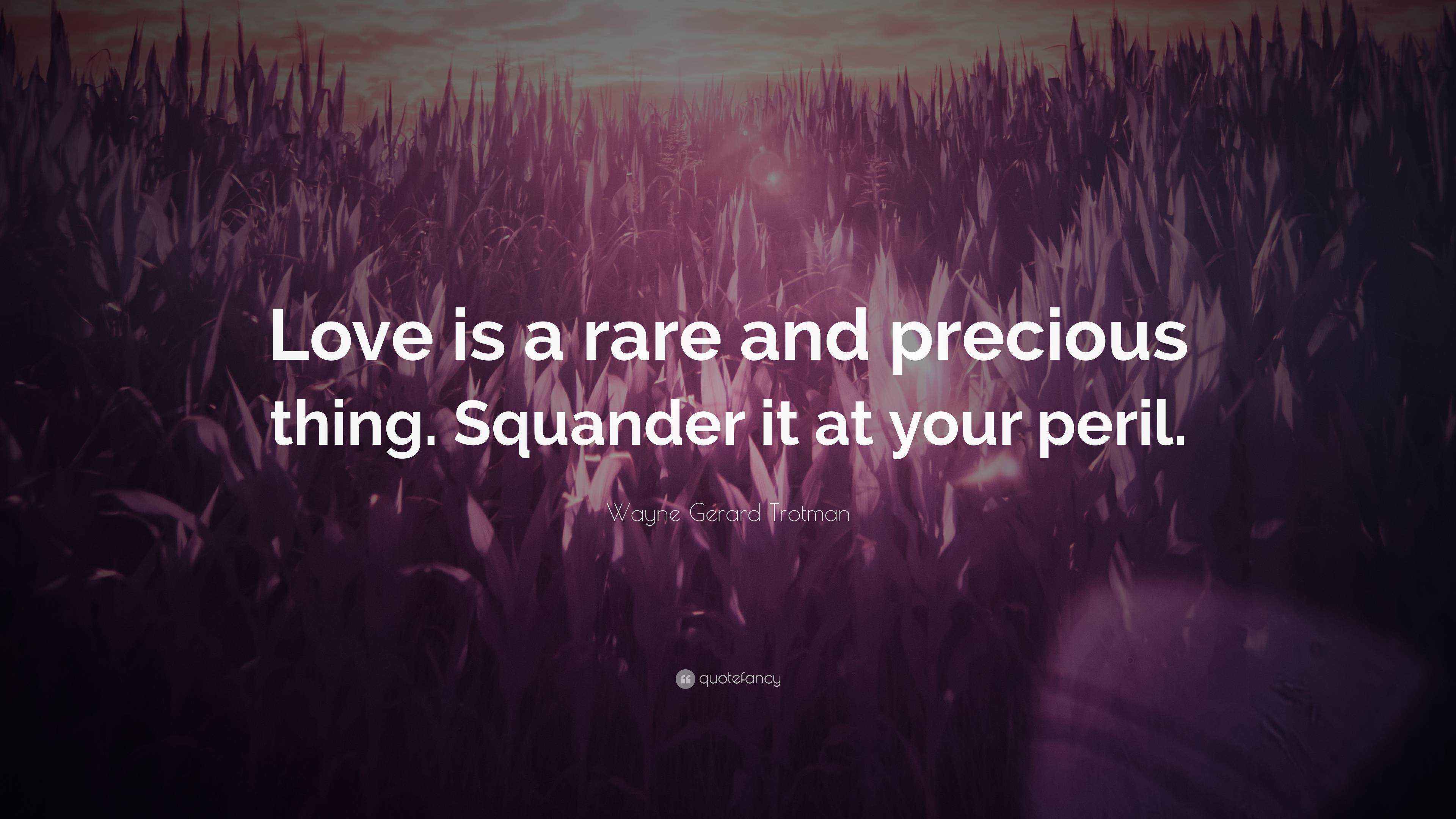 Wayne Gerard Trotman Quote: “Love is a rare and precious thing ...