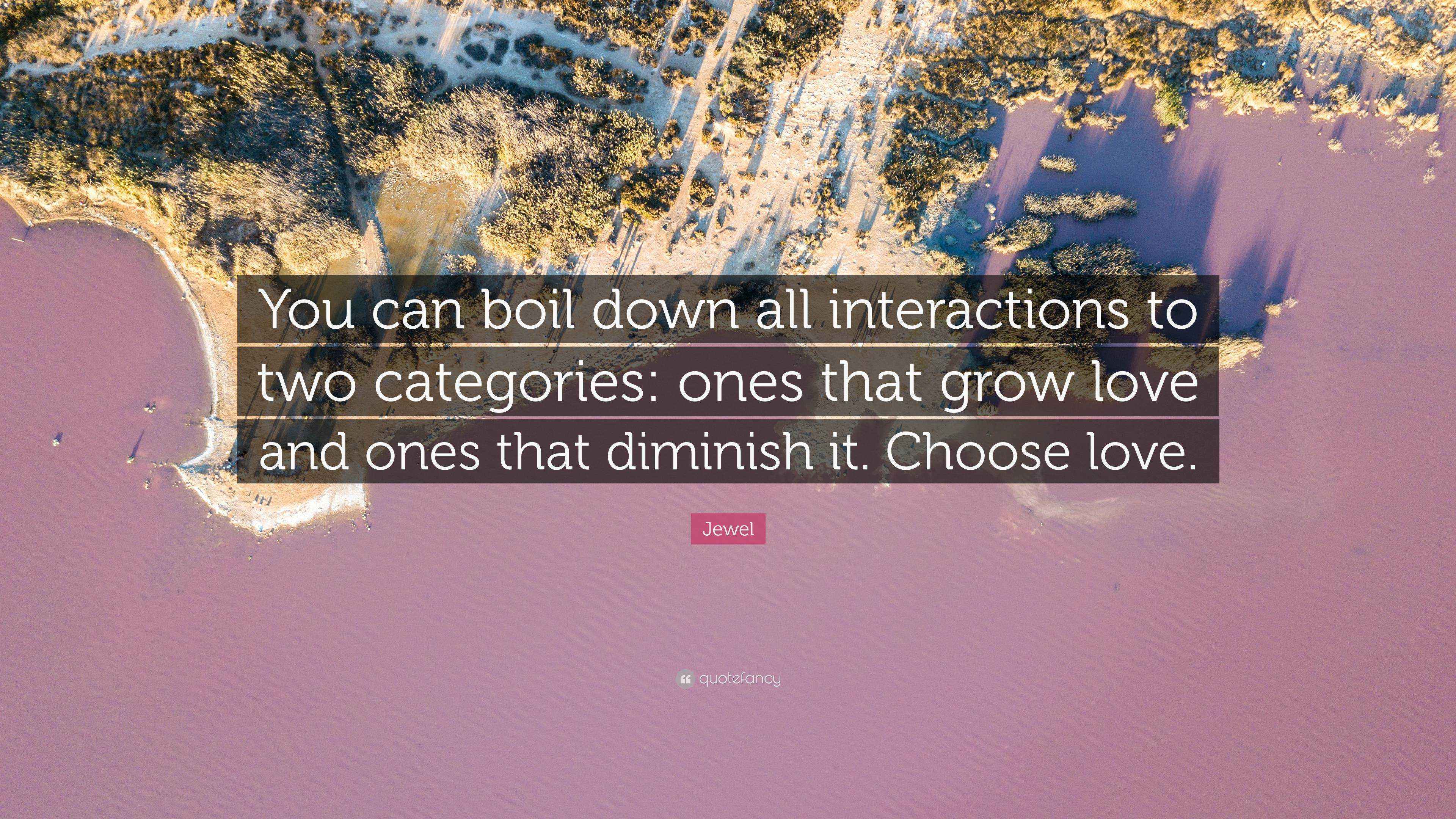 Jewel Quote: “You can boil down all interactions to two categories ...