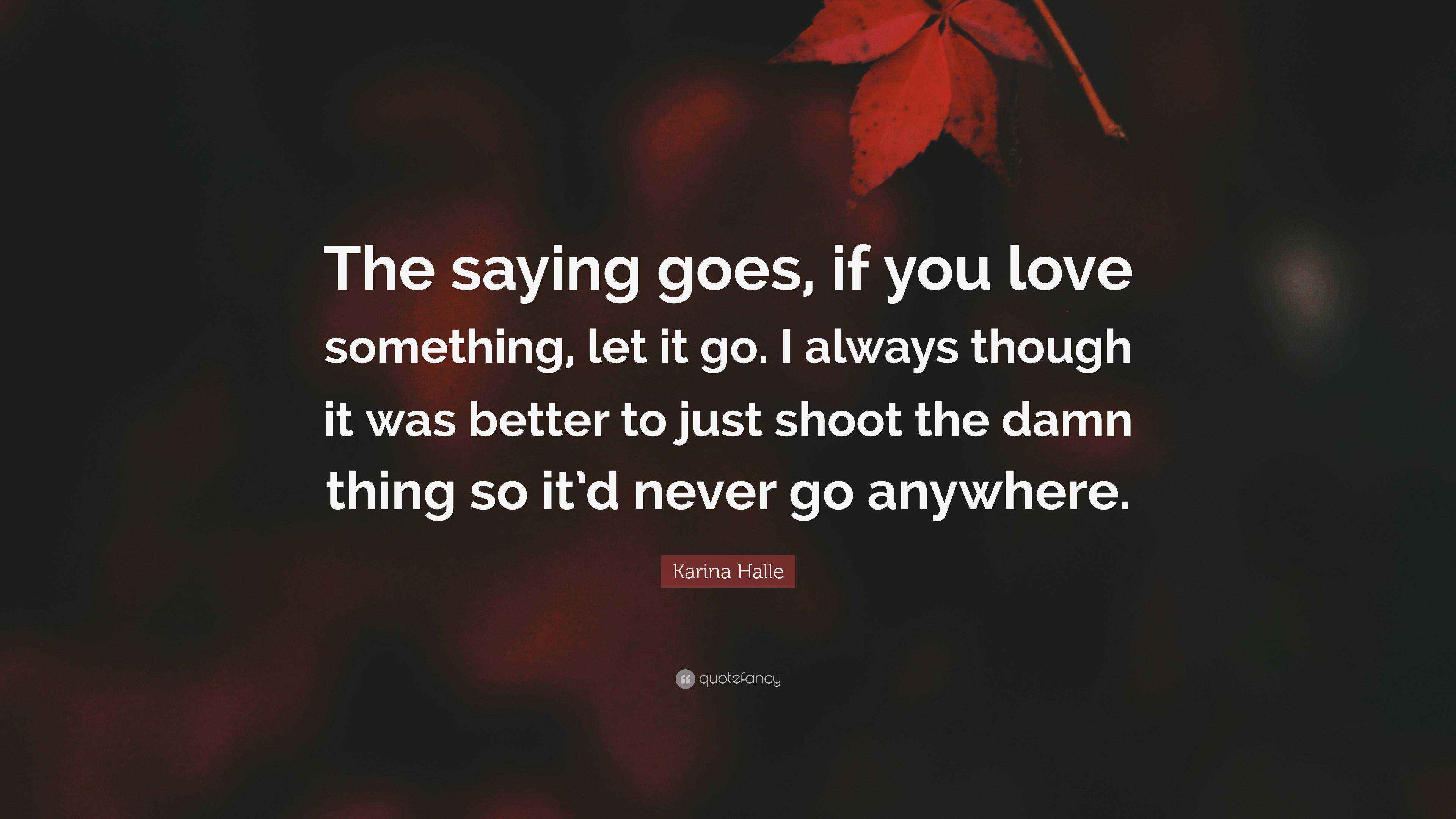 Karina Halle Quote: “The saying goes, if you love something, let it go ...
