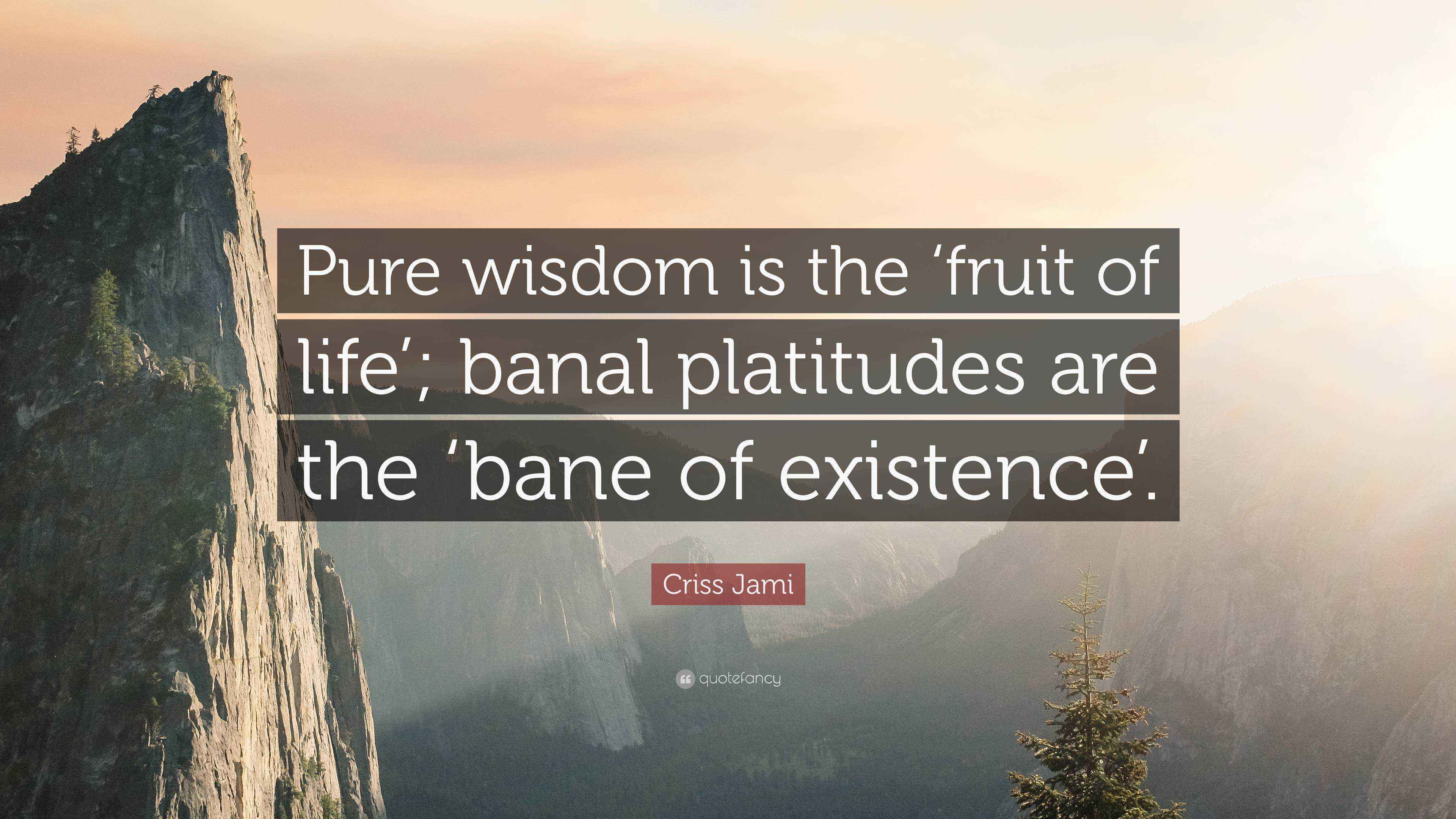 Criss Jami Quote: “Pure wisdom is the ‘fruit of life’; banal platitudes ...