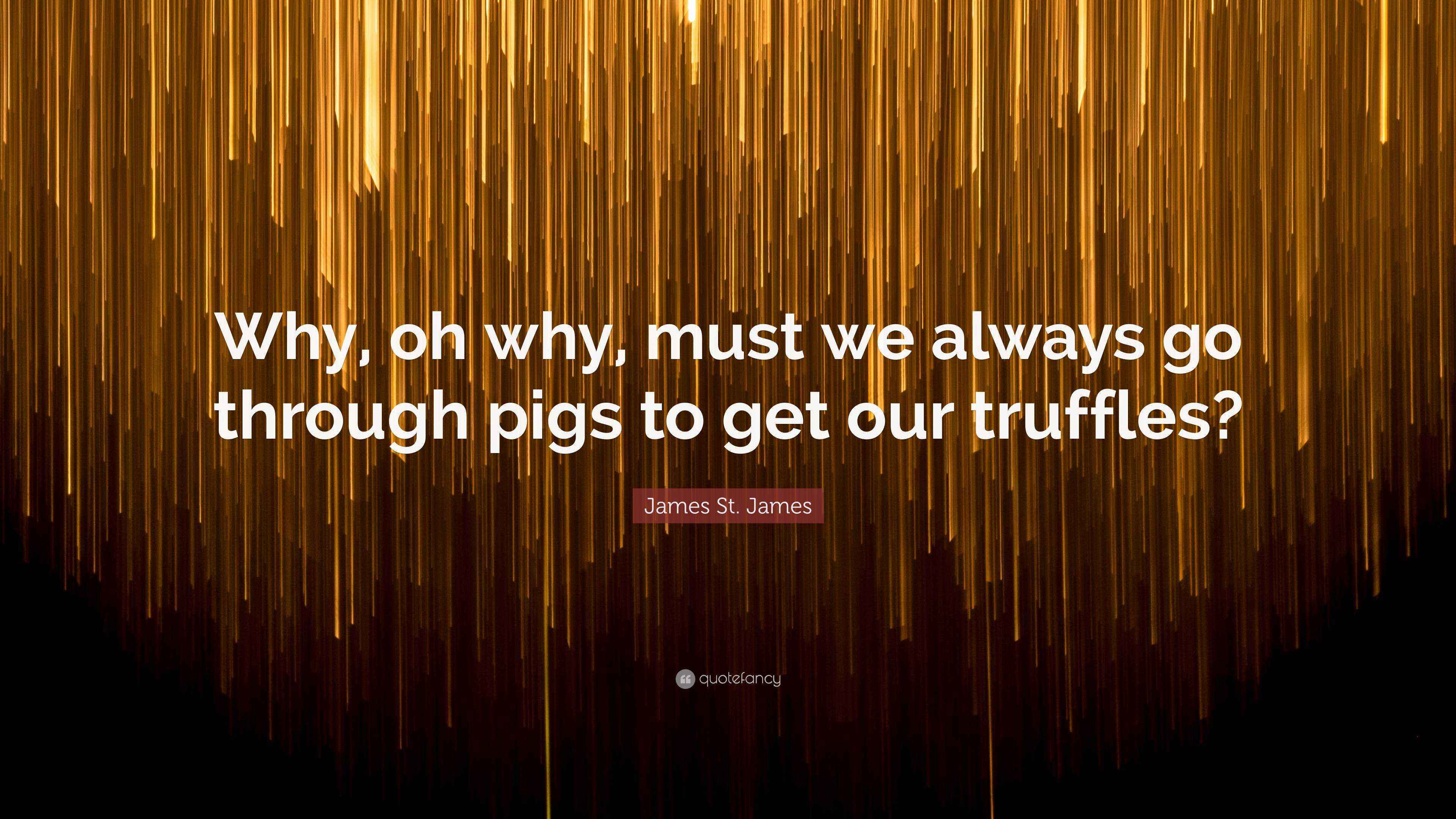 James St. James Quote: “Why, oh why, must we always go through pigs to ...