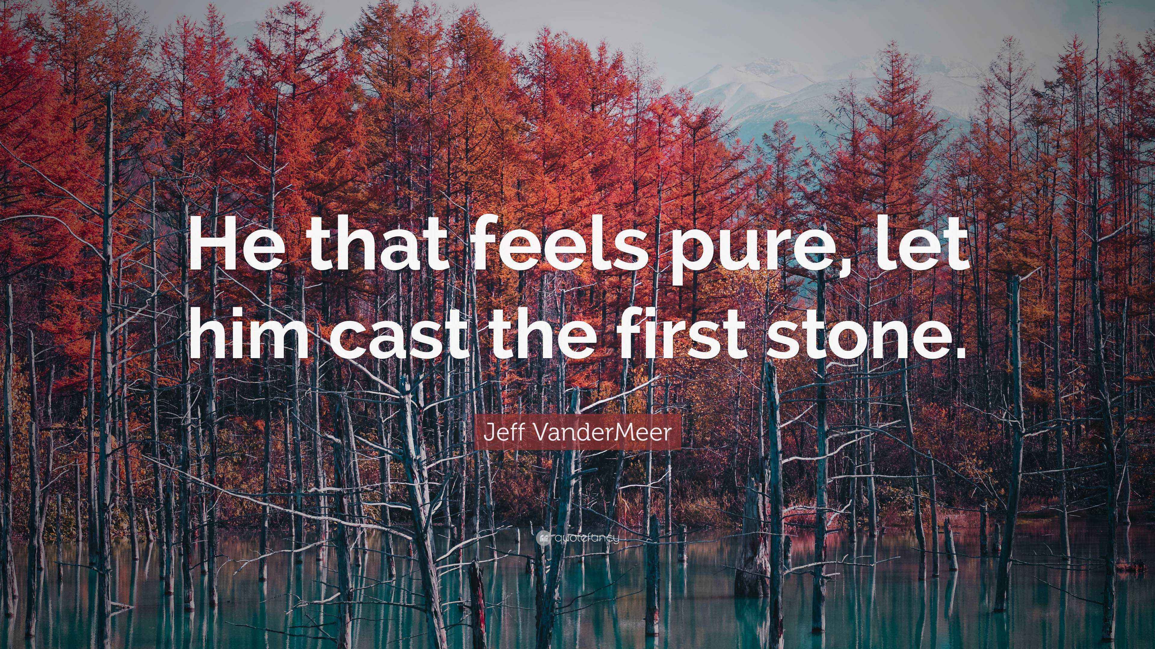 Jeff VanderMeer Quote: “He that feels pure, let him cast the first stone.”