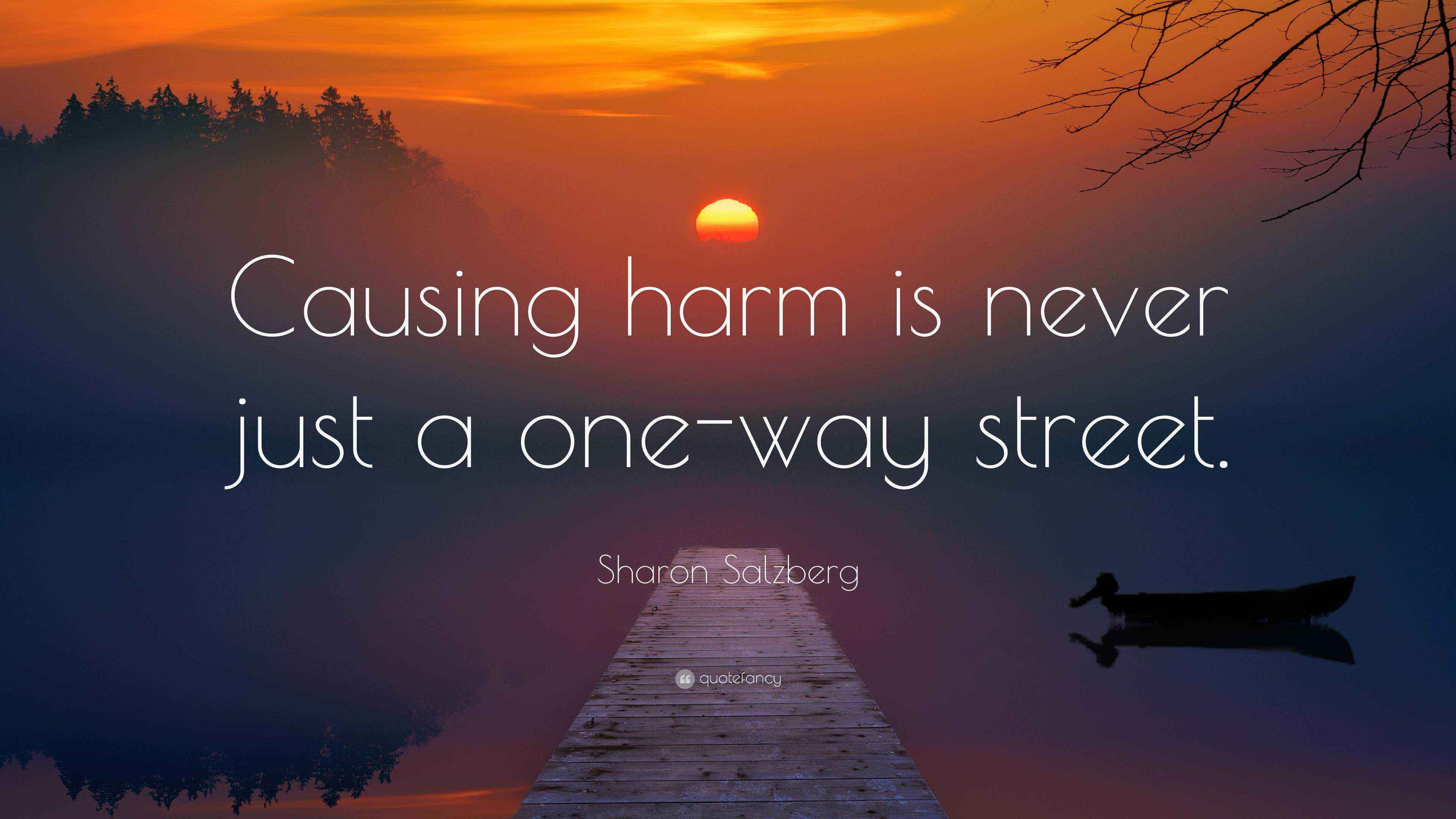 Sharon Salzberg Quote: “Causing harm is never just a one-way street.”