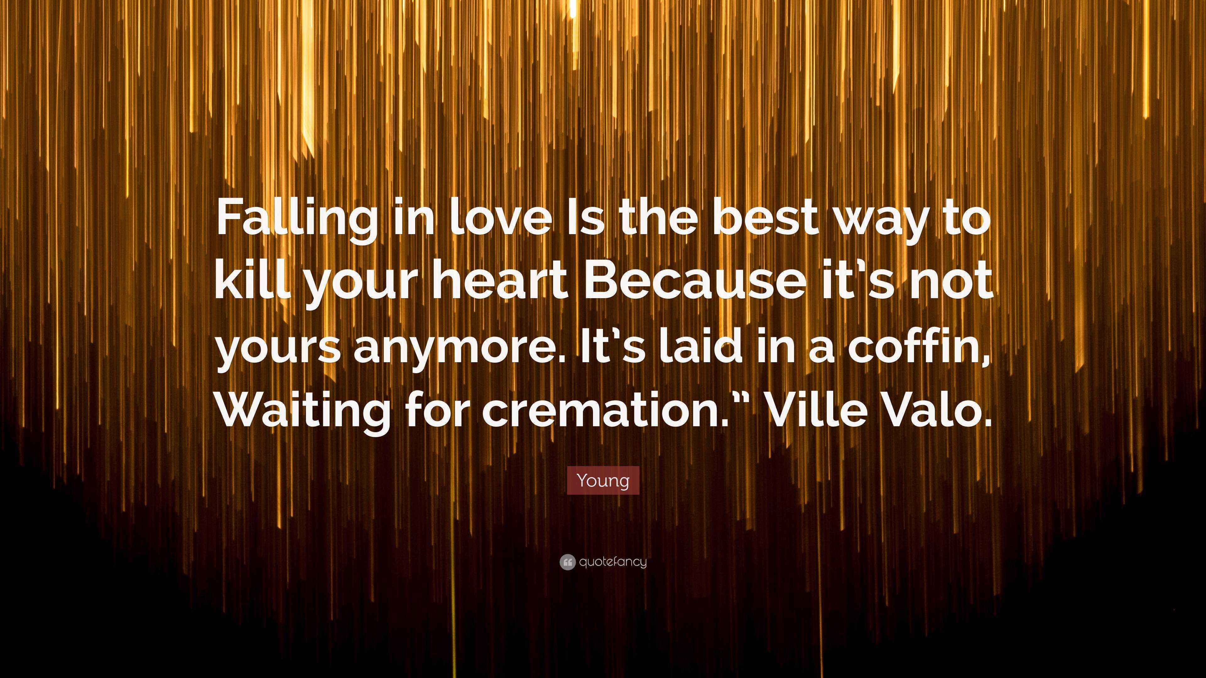 Young Quote: “Falling in love Is the best way to kill your heart ...