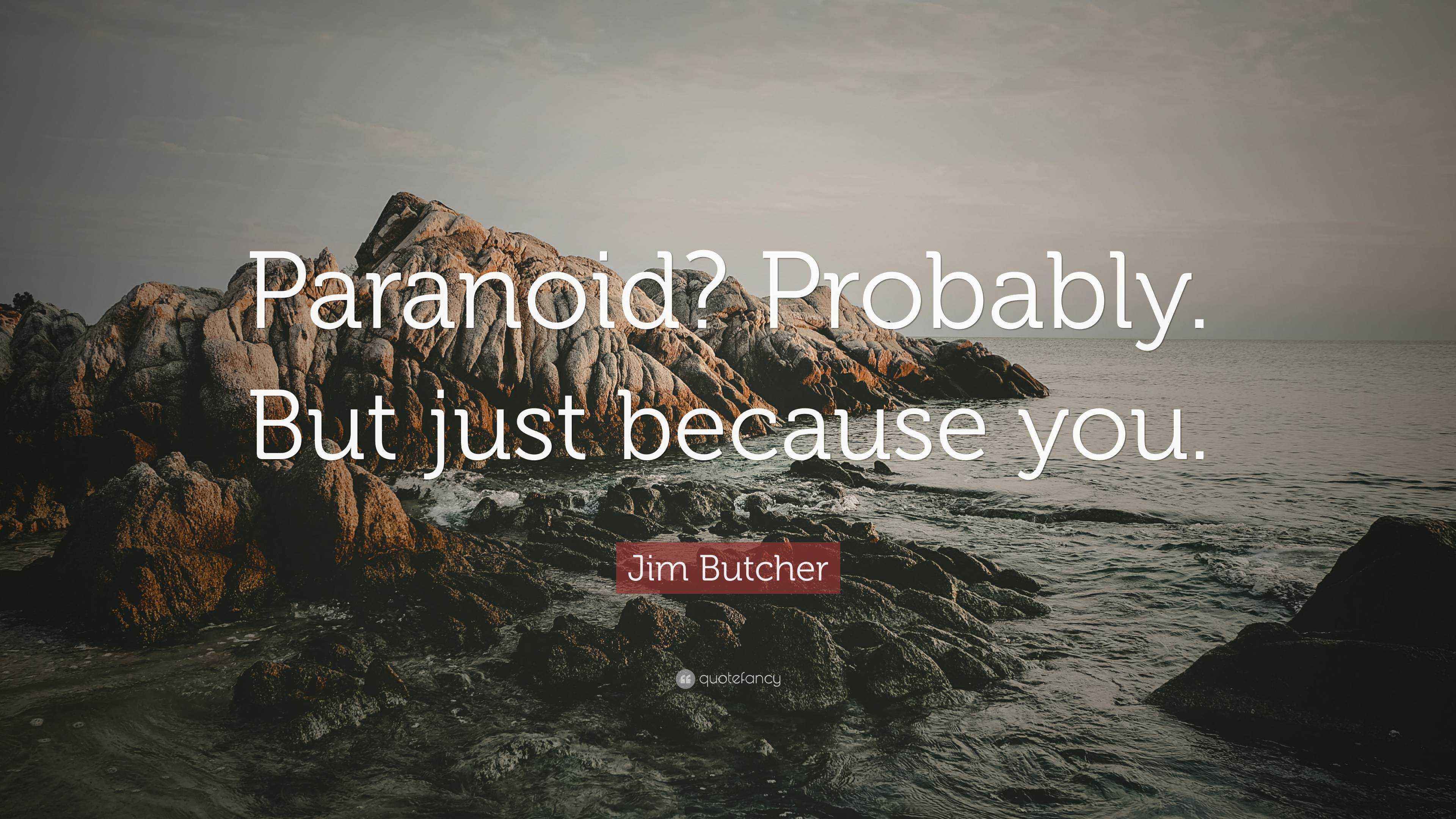 Jim Butcher Quote: “Paranoid? Probably. But just because you.”