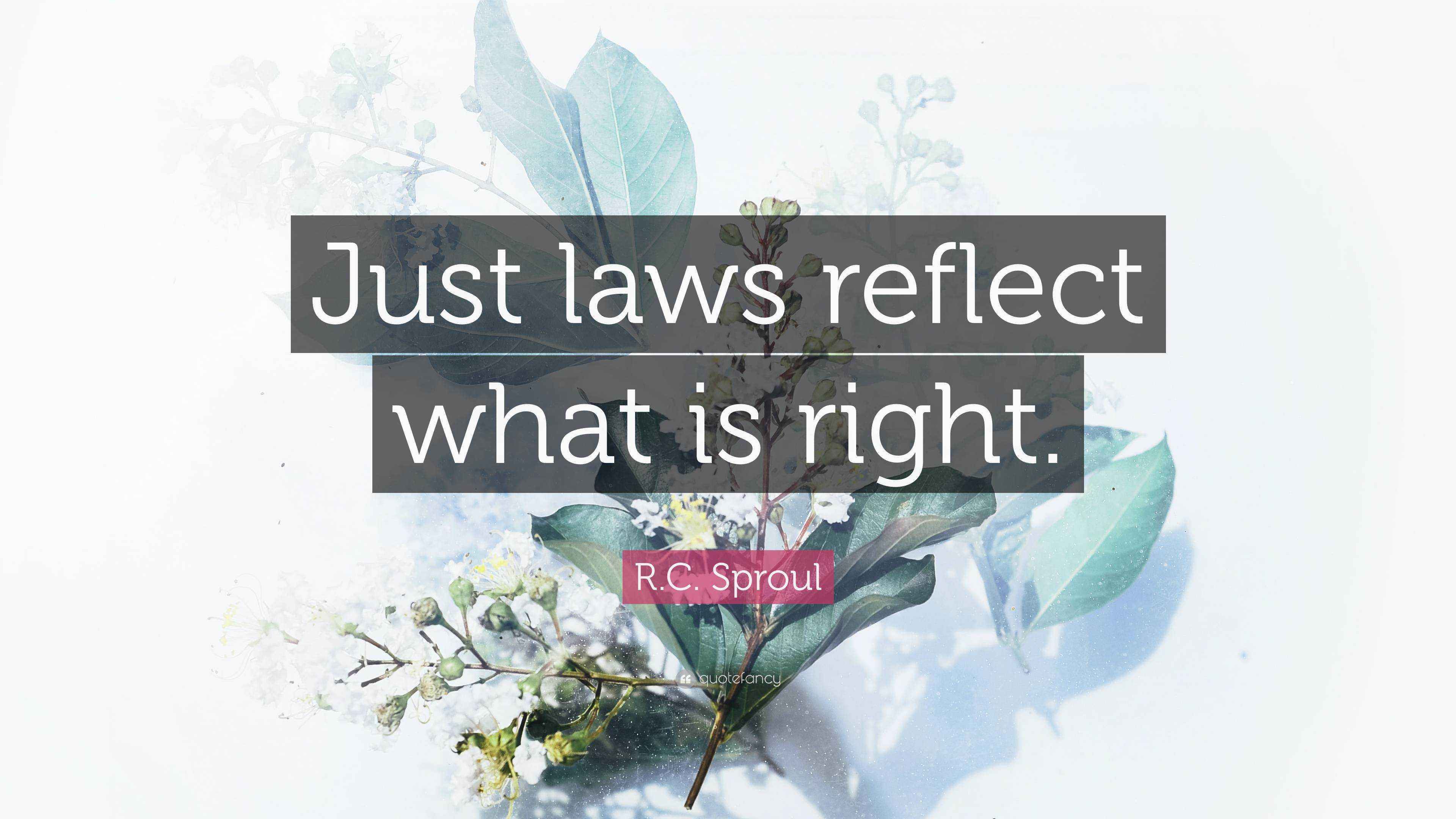 R.C. Sproul Quote: “Just laws reflect what is right.”