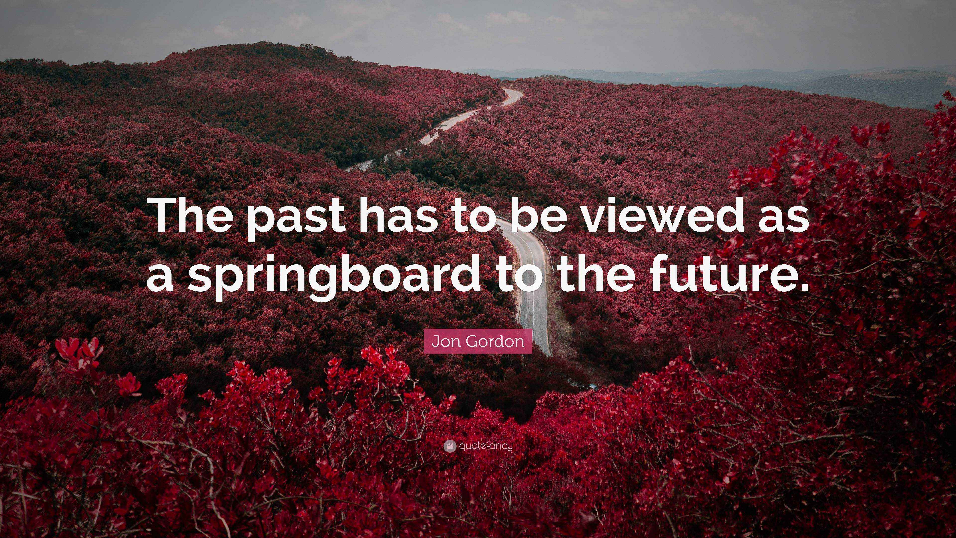 Jon Gordon Quote: “The past has to be viewed as a springboard to the ...
