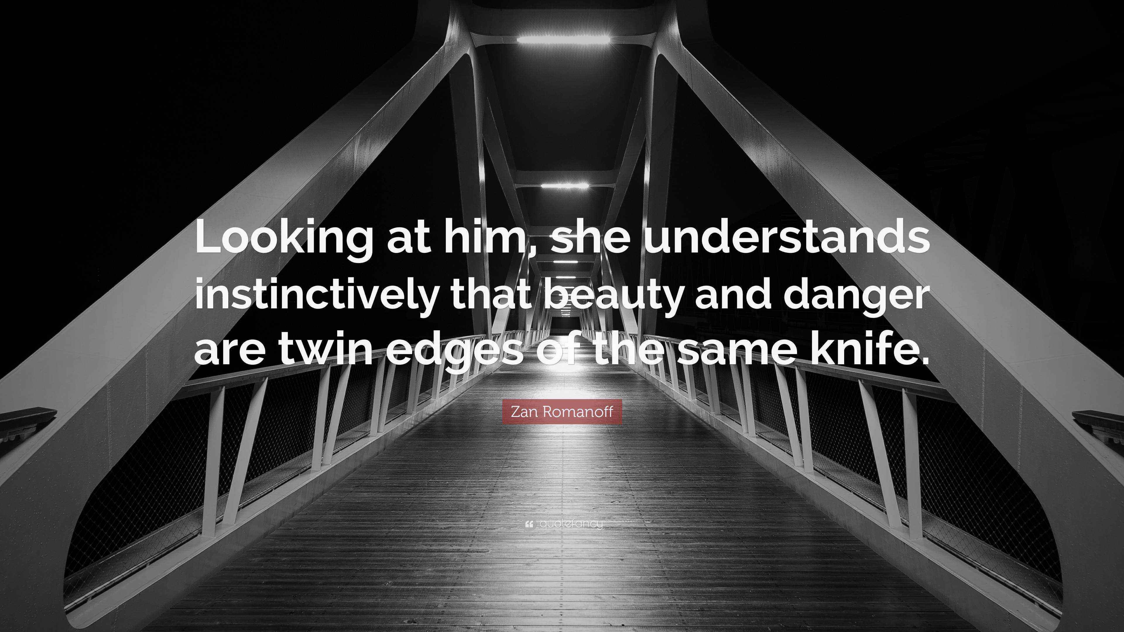 Zan Romanoff Quote: “Looking at him, she understands instinctively that ...