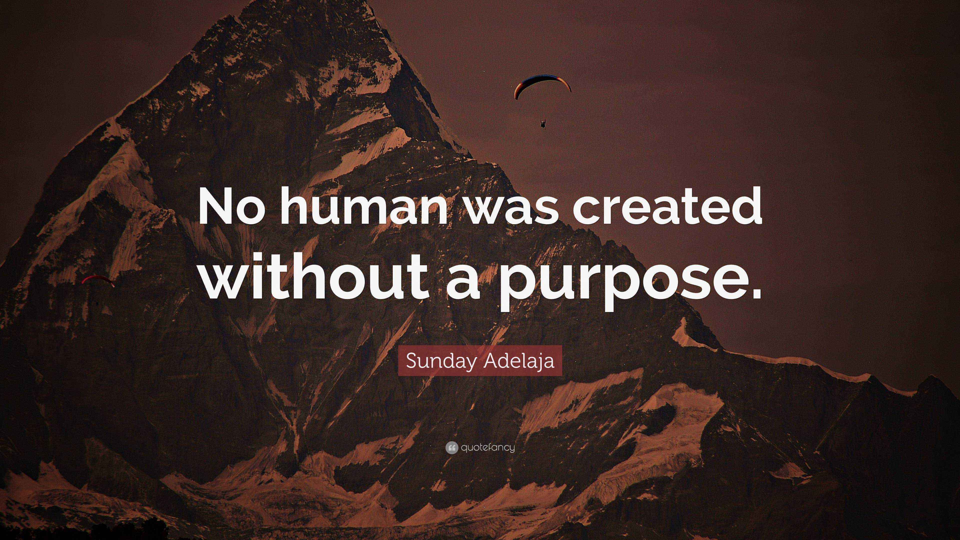 Sunday Adelaja Quote: “No human was created without a purpose.”