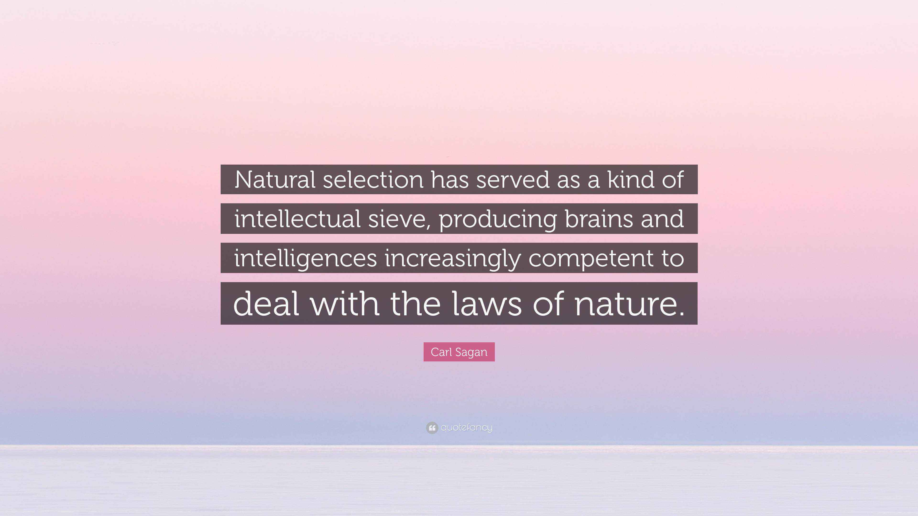Carl Sagan Quote: “Natural selection has served as a kind of ...