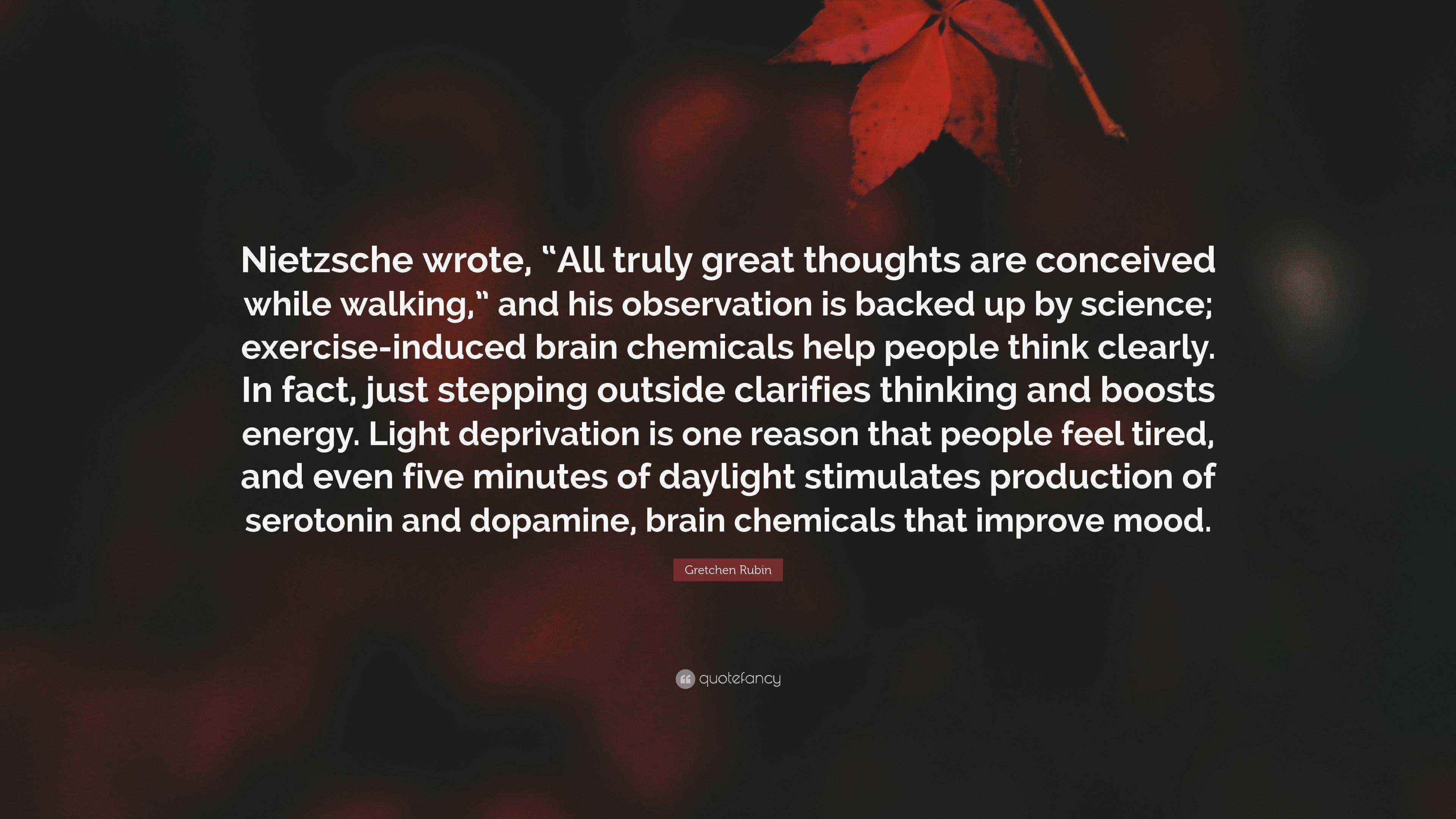 Gretchen Rubin Quote: “Nietzsche wrote, “All truly great thoughts are ...