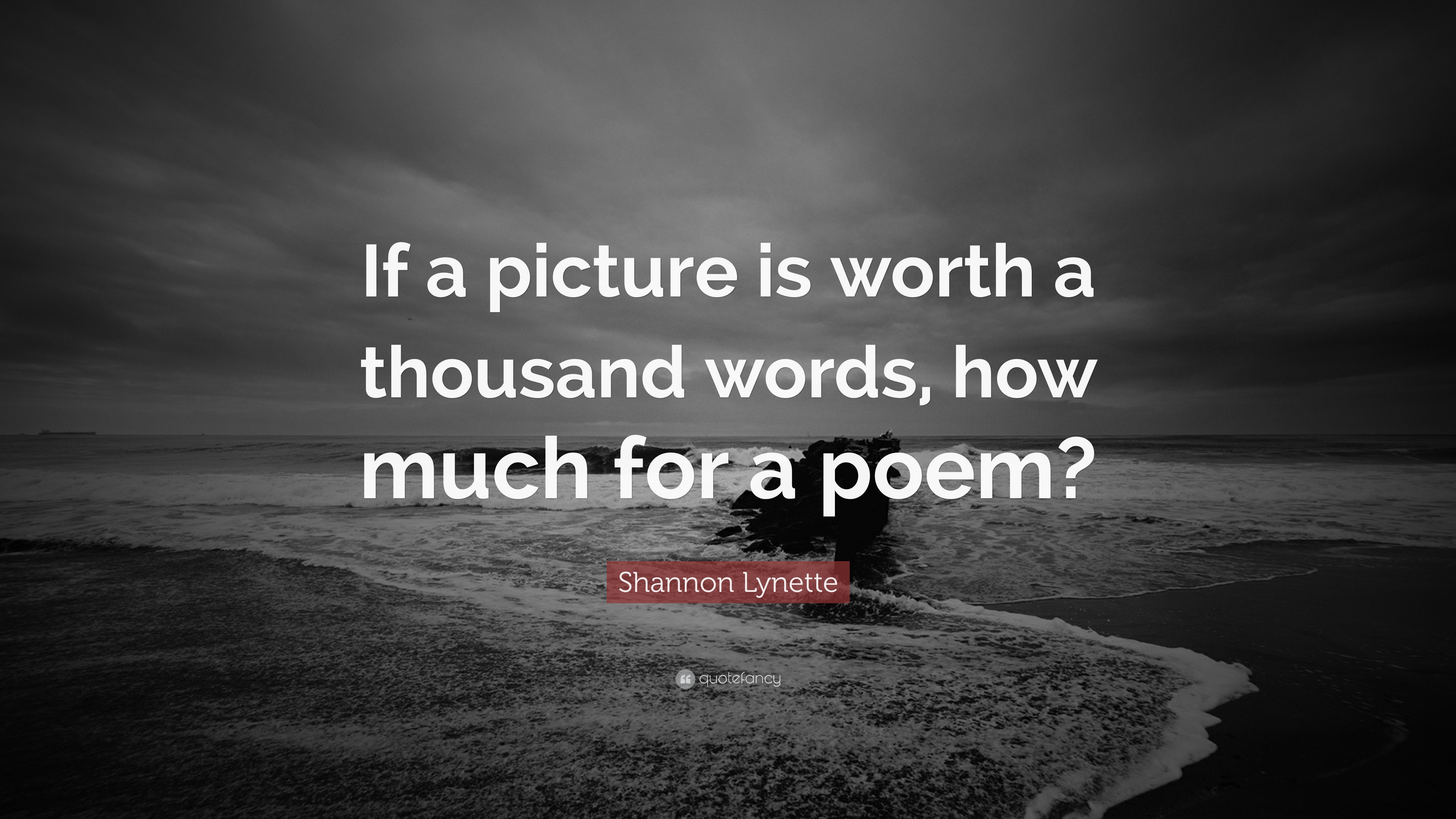 Shannon Lynette Quote: “If a picture is worth a thousand words, how ...