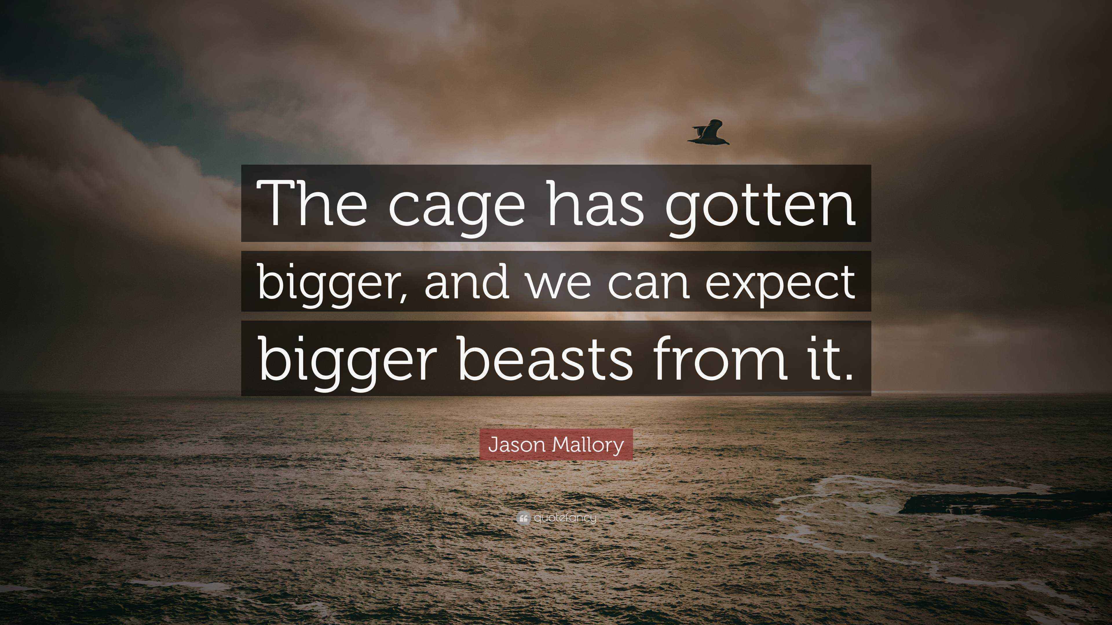 Jason Mallory Quote: “The cage has gotten bigger, and we can expect ...