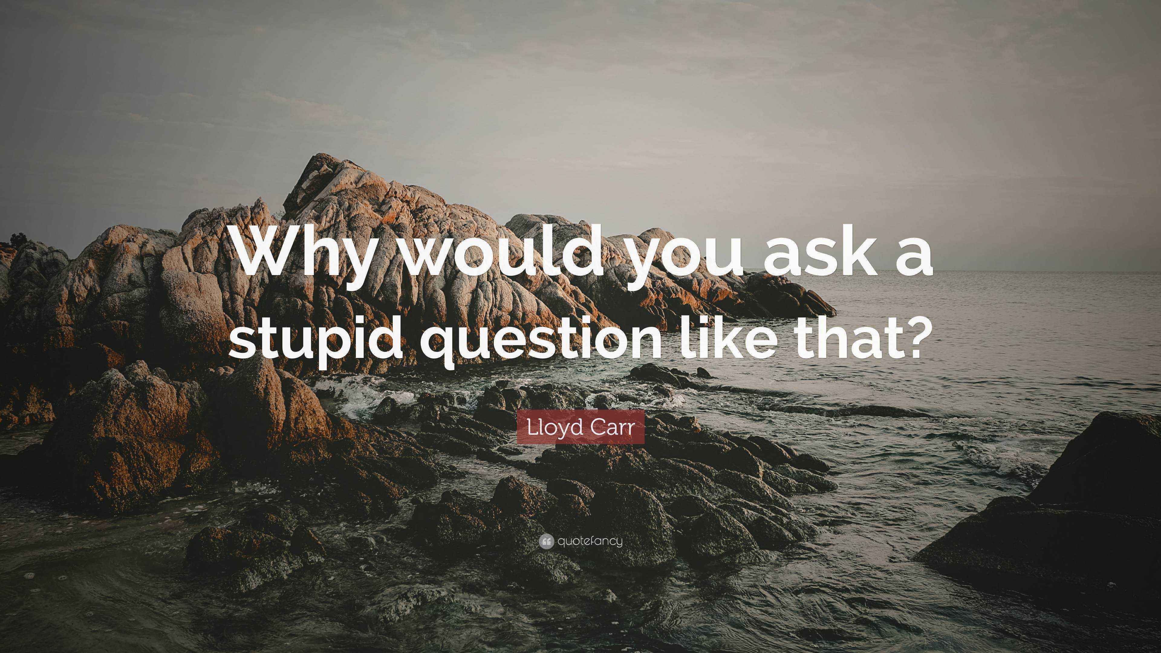 Lloyd Carr Quote: “Why would you ask a stupid question like that?”