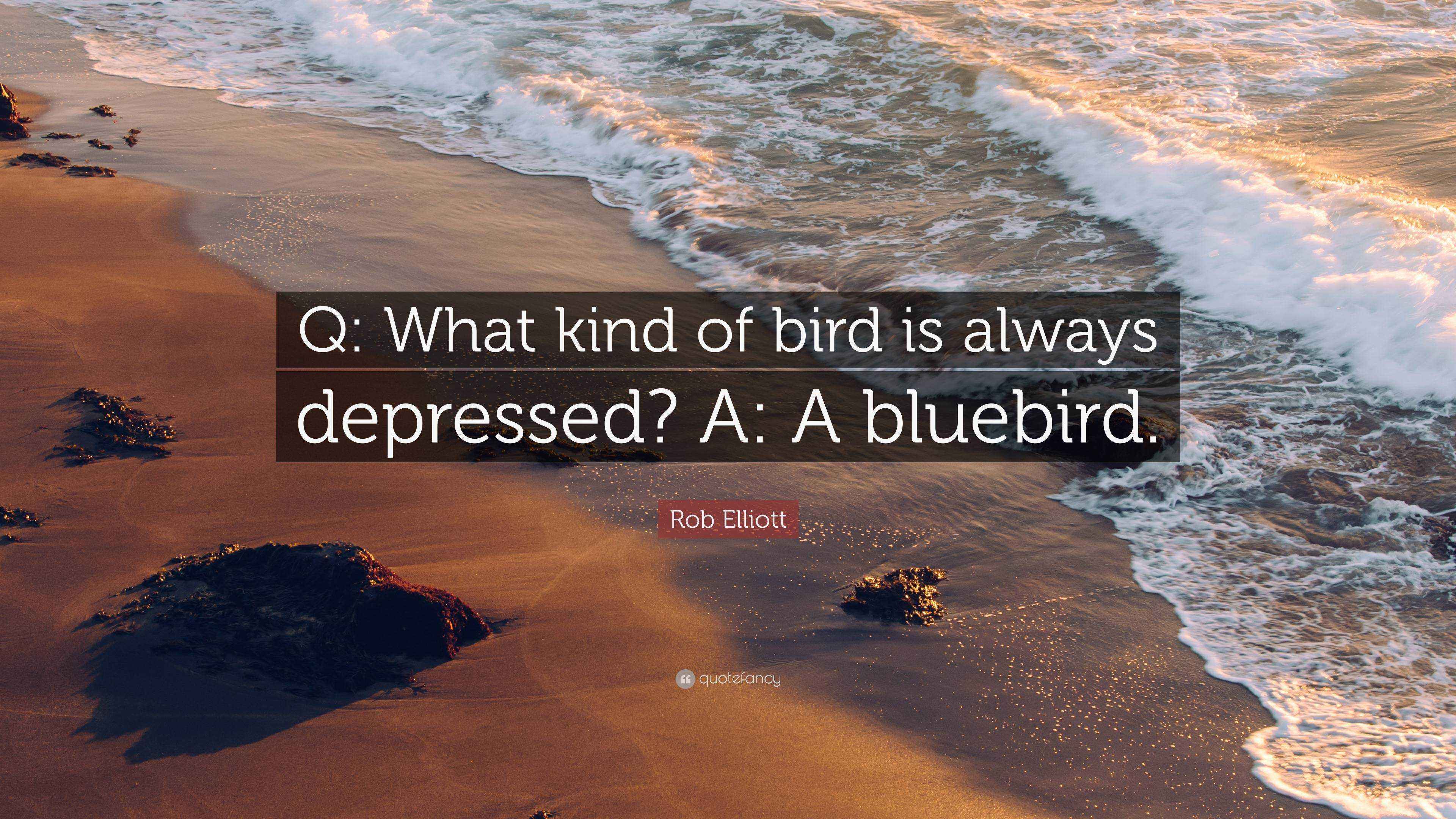 Rob Elliott Quote: “Q: What kind of bird is always depressed? A: A ...