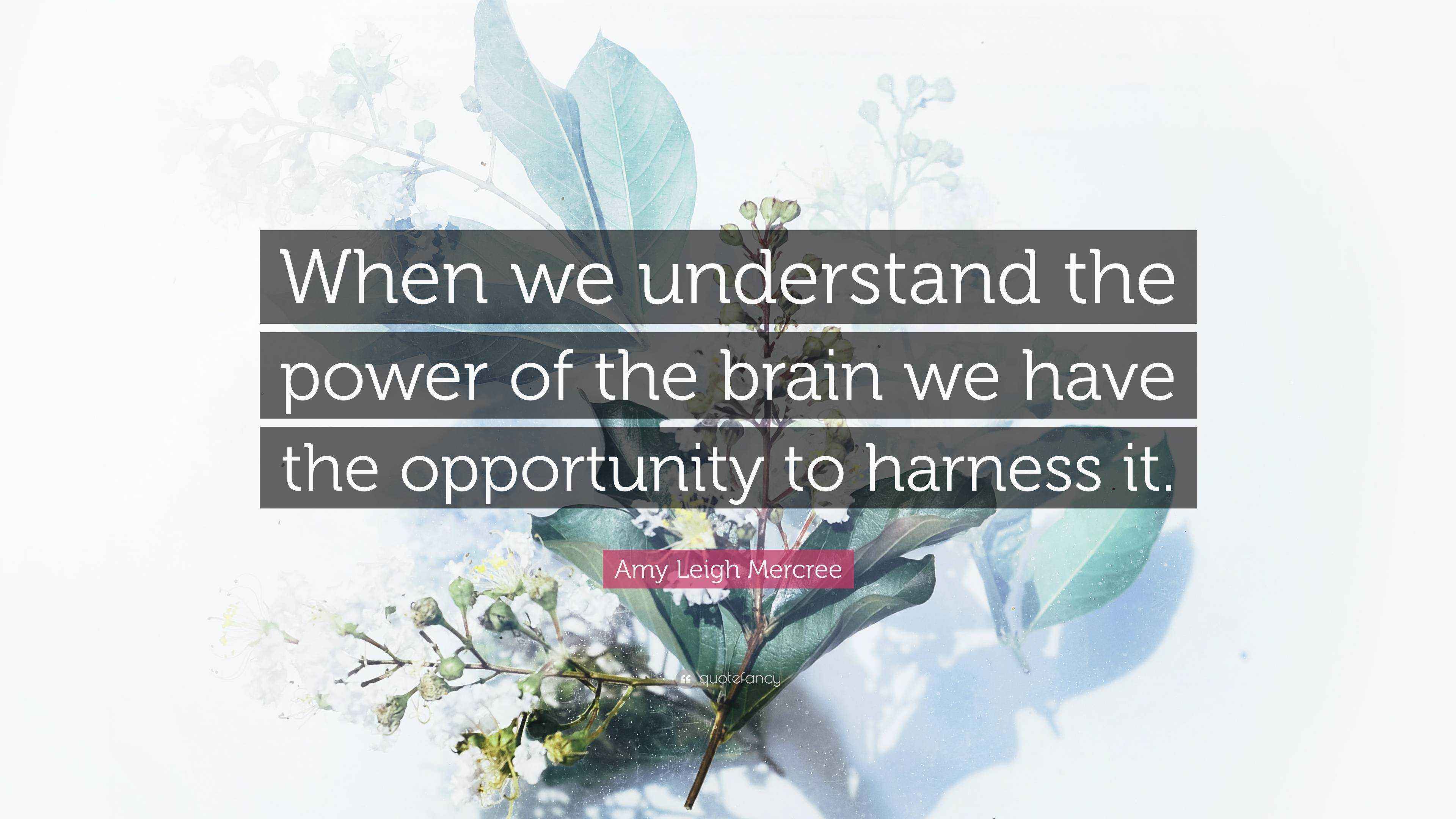 Amy Leigh Mercree Quote: “When we understand the power of the brain we ...