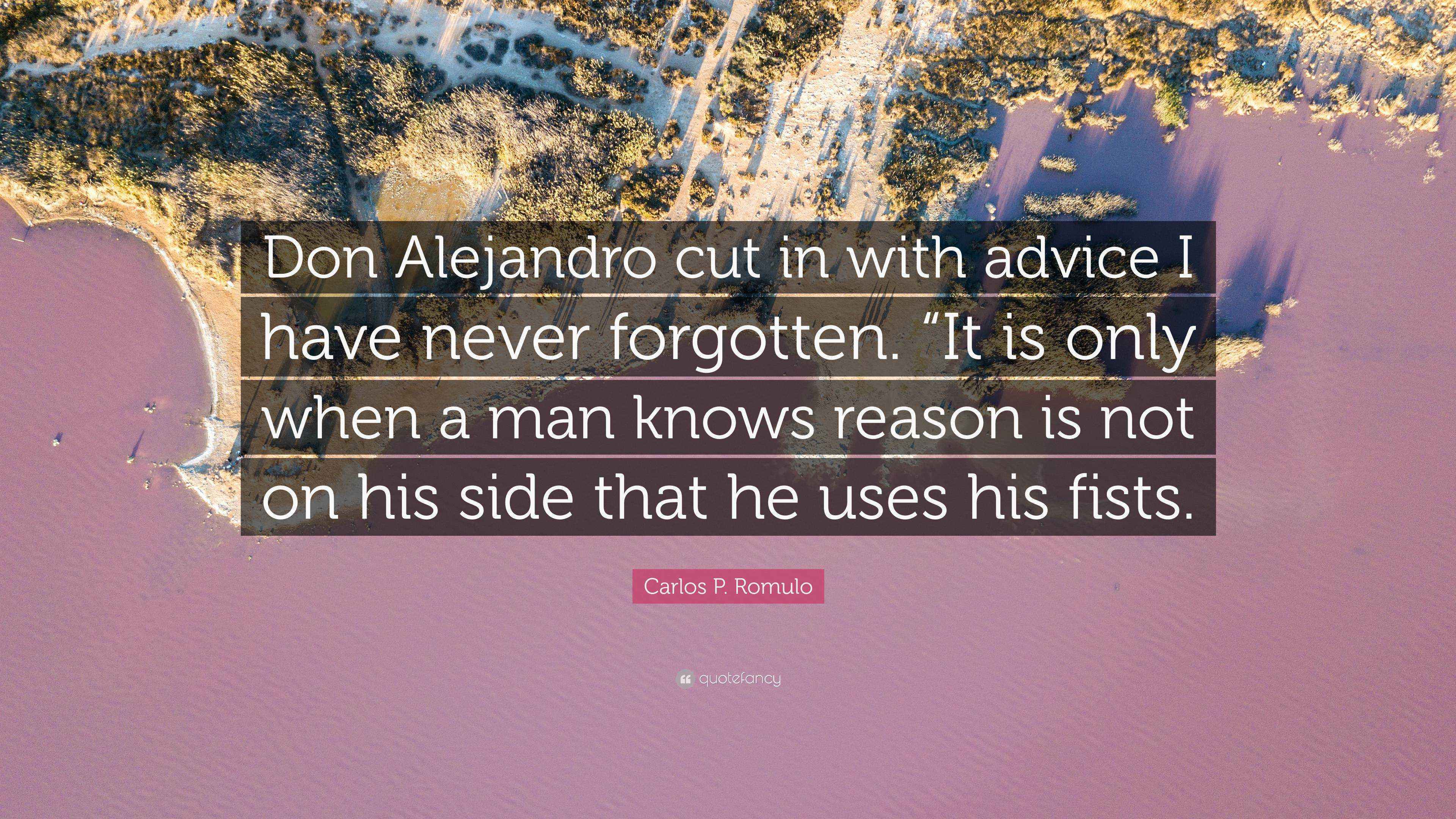Carlos P. Romulo Quote: “Don Alejandro cut in with advice I have never ...